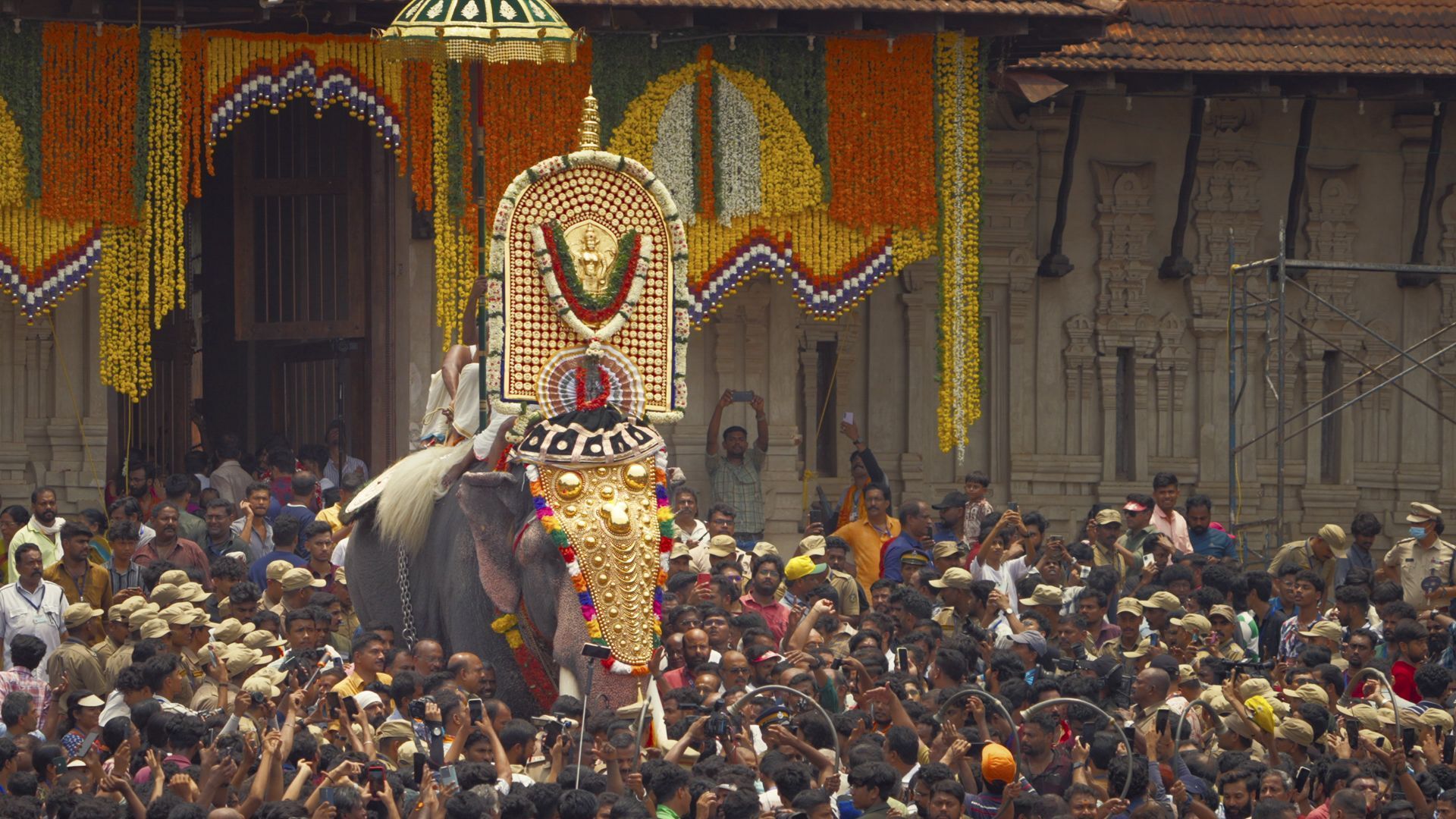 Thrissur Pooram Wallpapers - Top Free Thrissur Pooram Backgrounds - WallpaperAccess