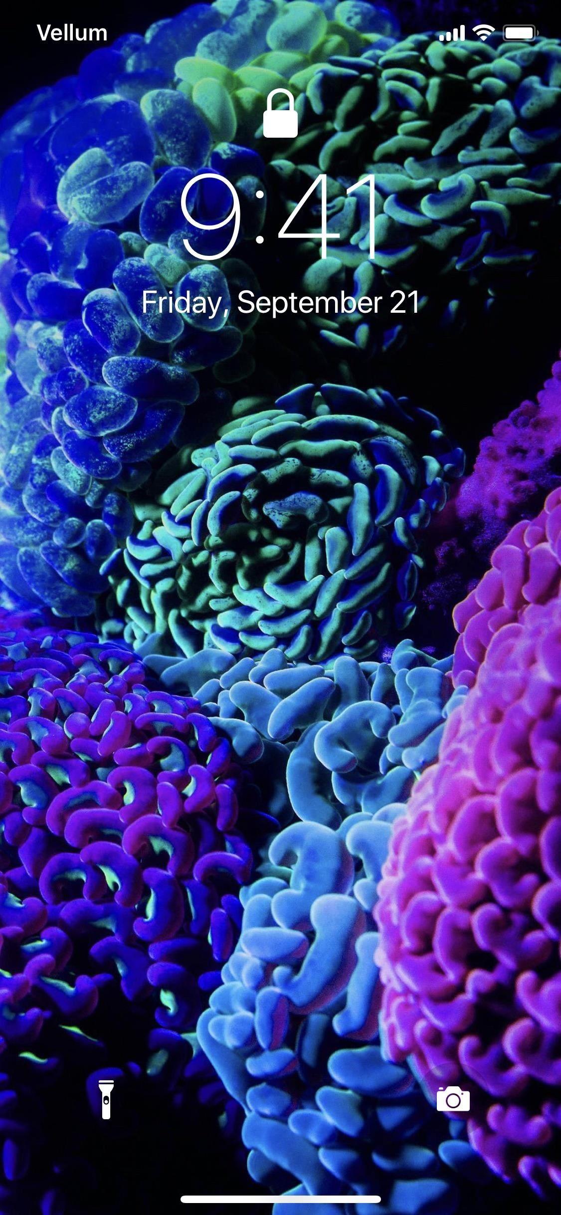 2D iPhone Wallpapers - Top Free 2D iPhone Backgrounds - WallpaperAccess