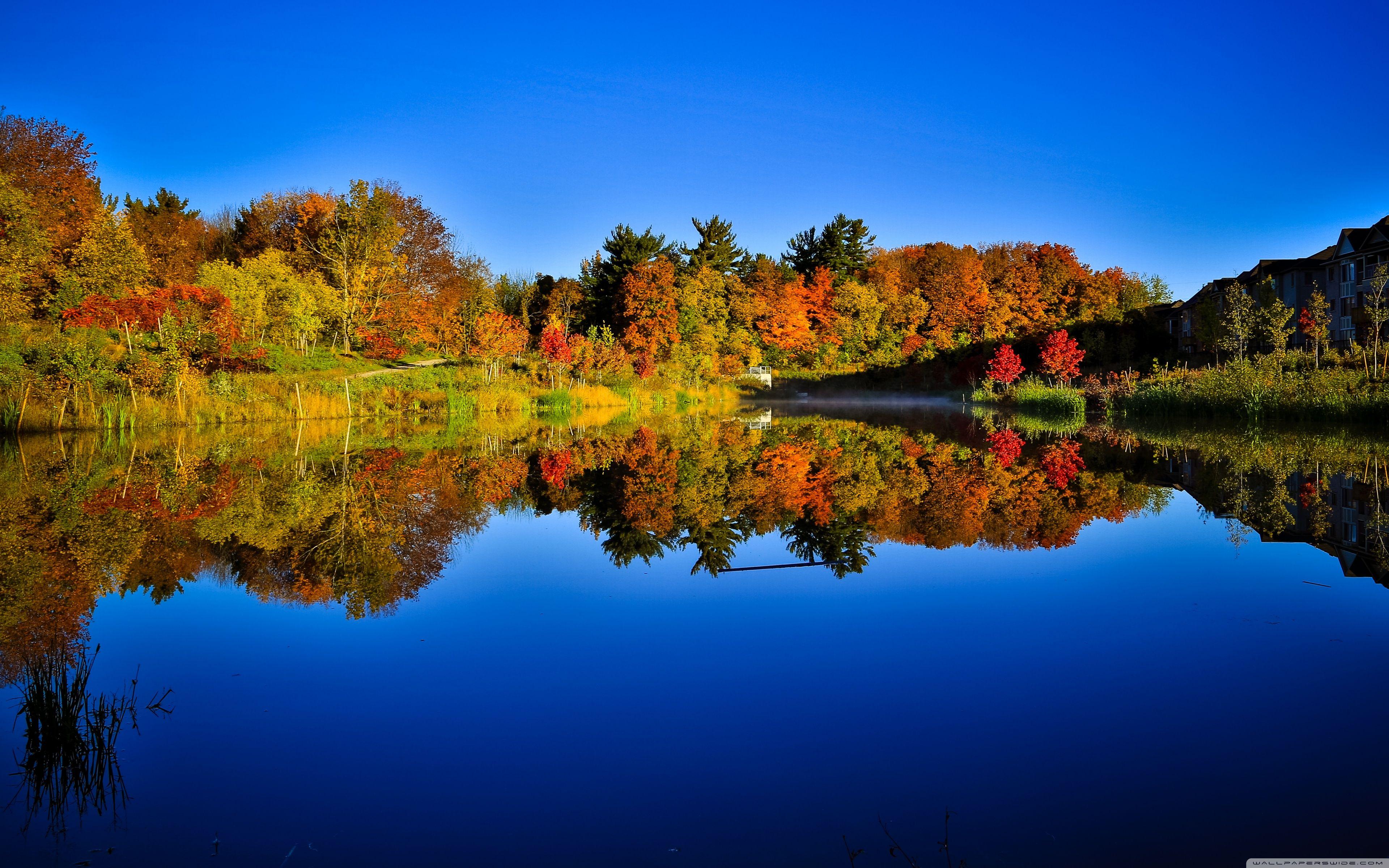 Reflection Wallpapers - Top Free Reflection Backgrounds - WallpaperAccess