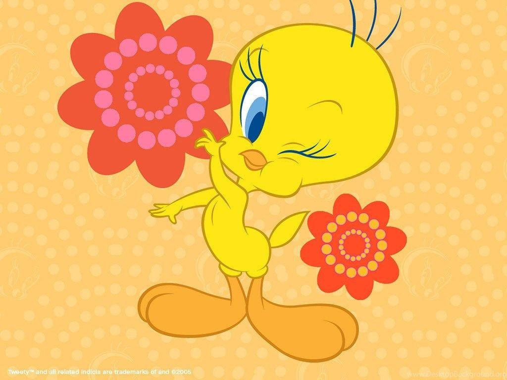 Tweety Bird Wallpapers - Top Free Tweety Bird Backgrounds - WallpaperAccess