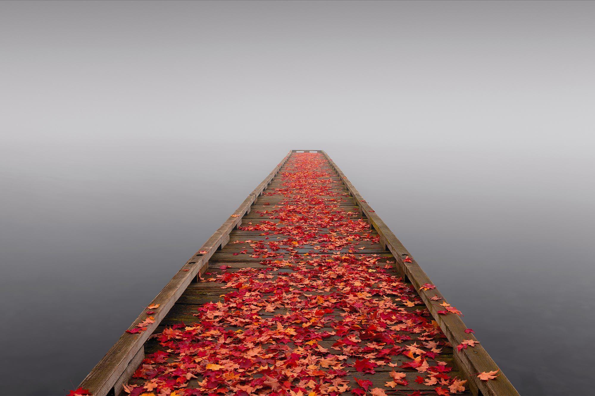 Peter Lik Wallpapers - Top Free Peter Lik Backgrounds - WallpaperAccess