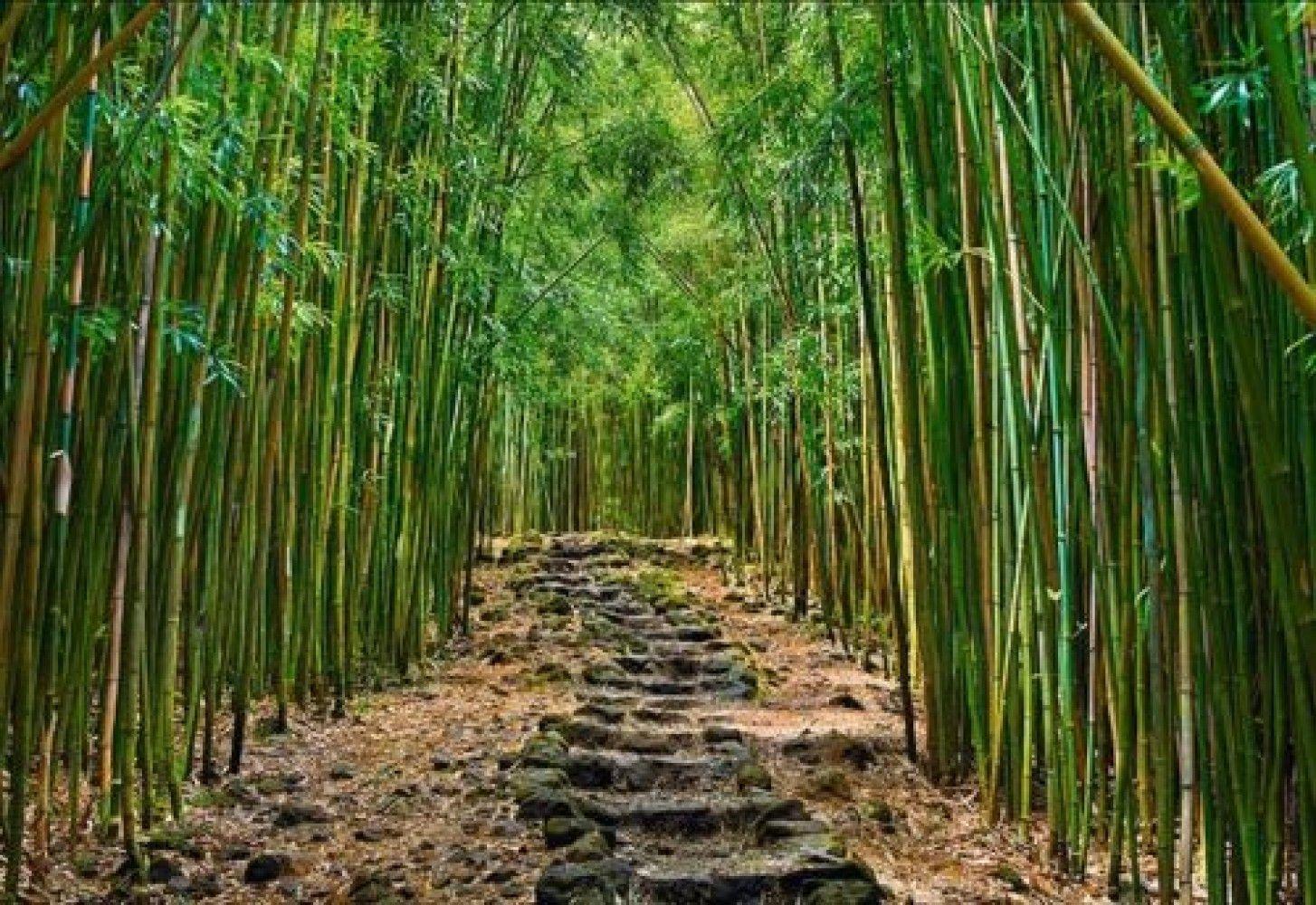 Peter Lik Wallpapers - Top Free Peter Lik Backgrounds - WallpaperAccess