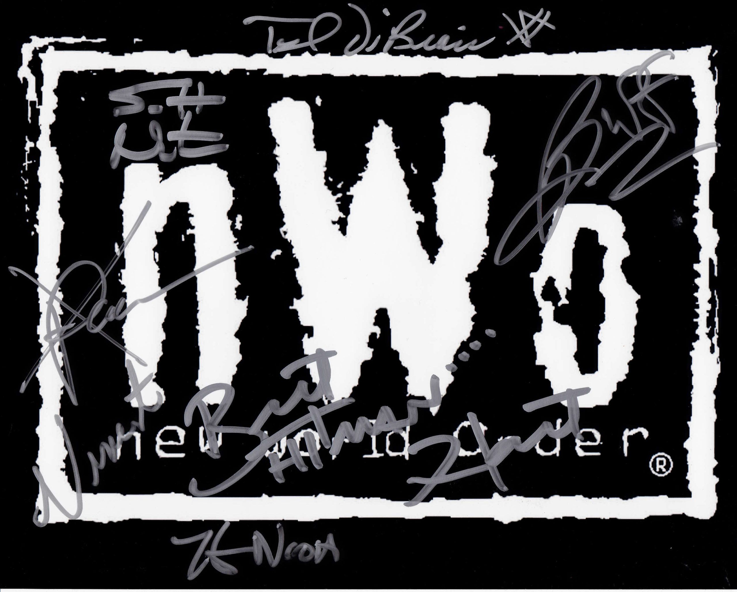 NWO Wallpapers - Top Free NWO Backgrounds - WallpaperAccess