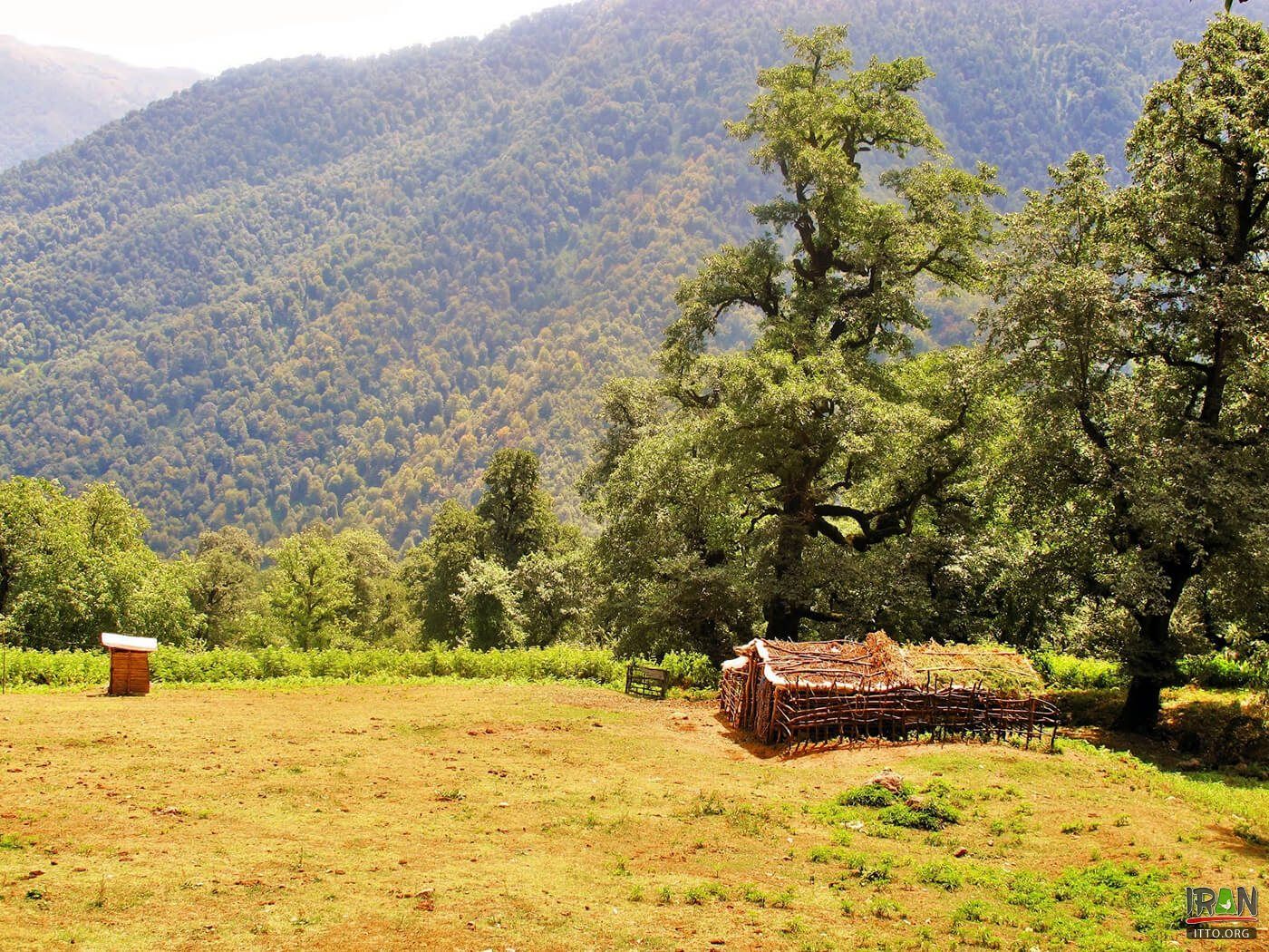 Gilan Wallpapers - Top Free Gilan Backgrounds - WallpaperAccess