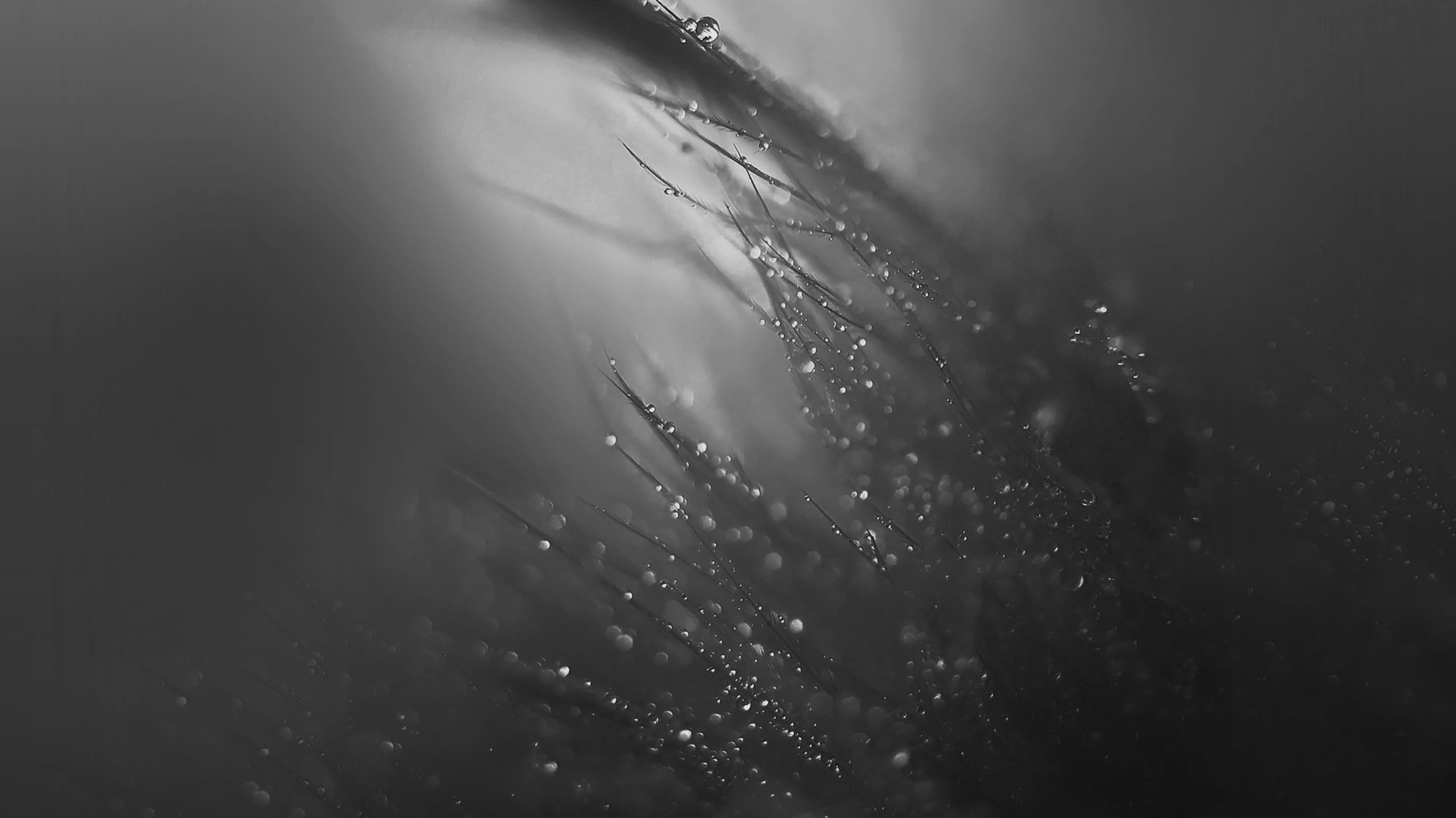 Soft Black Wallpapers - Top Free Soft Black Backgrounds - WallpaperAccess