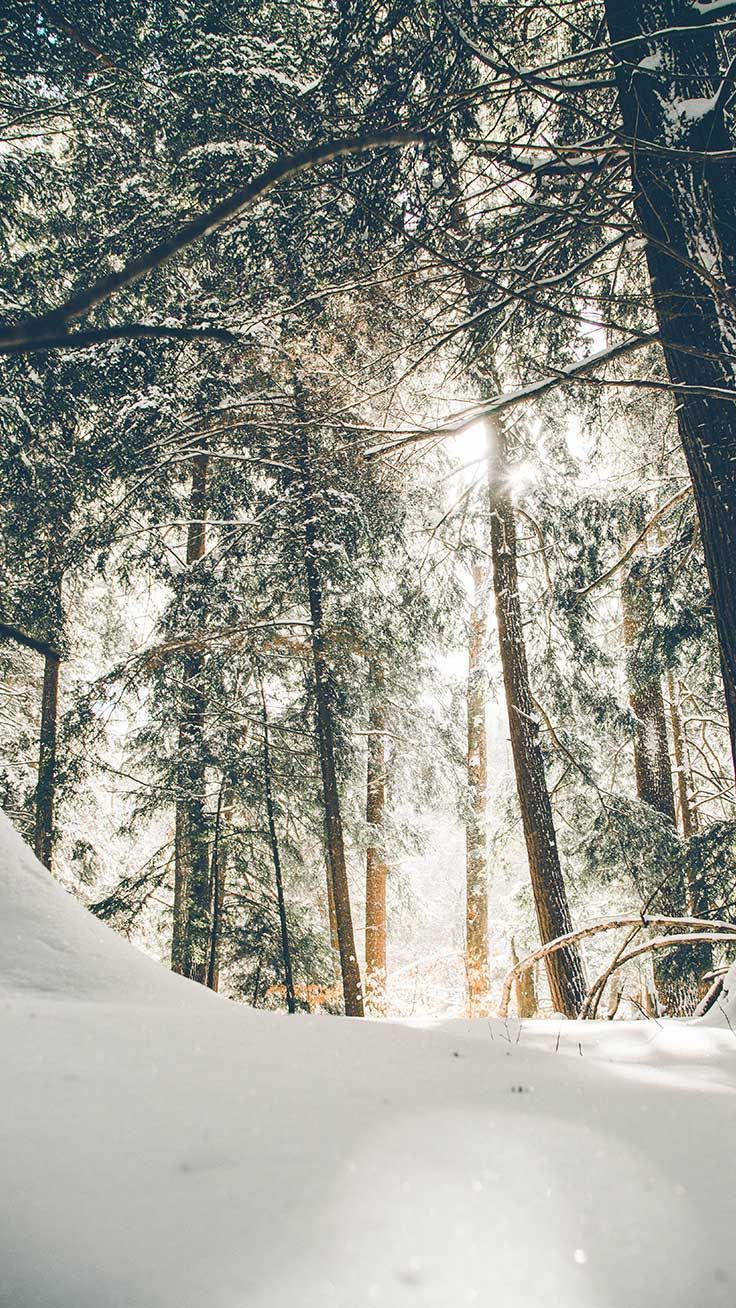 Preppy Winter Wallpapers - Top Free Preppy Winter Backgrounds ...