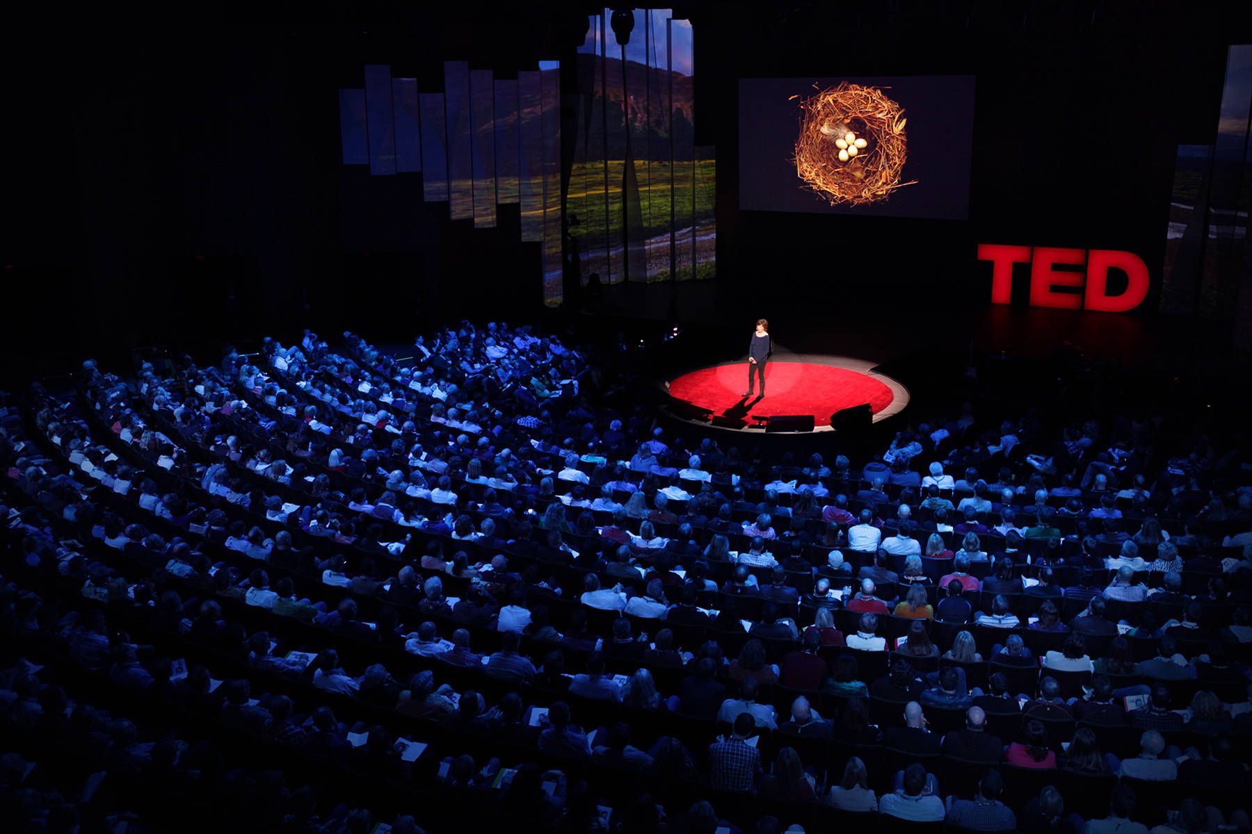 Ted Talk Wallpapers - Top Free Ted Talk Backgrounds - WallpaperAccess