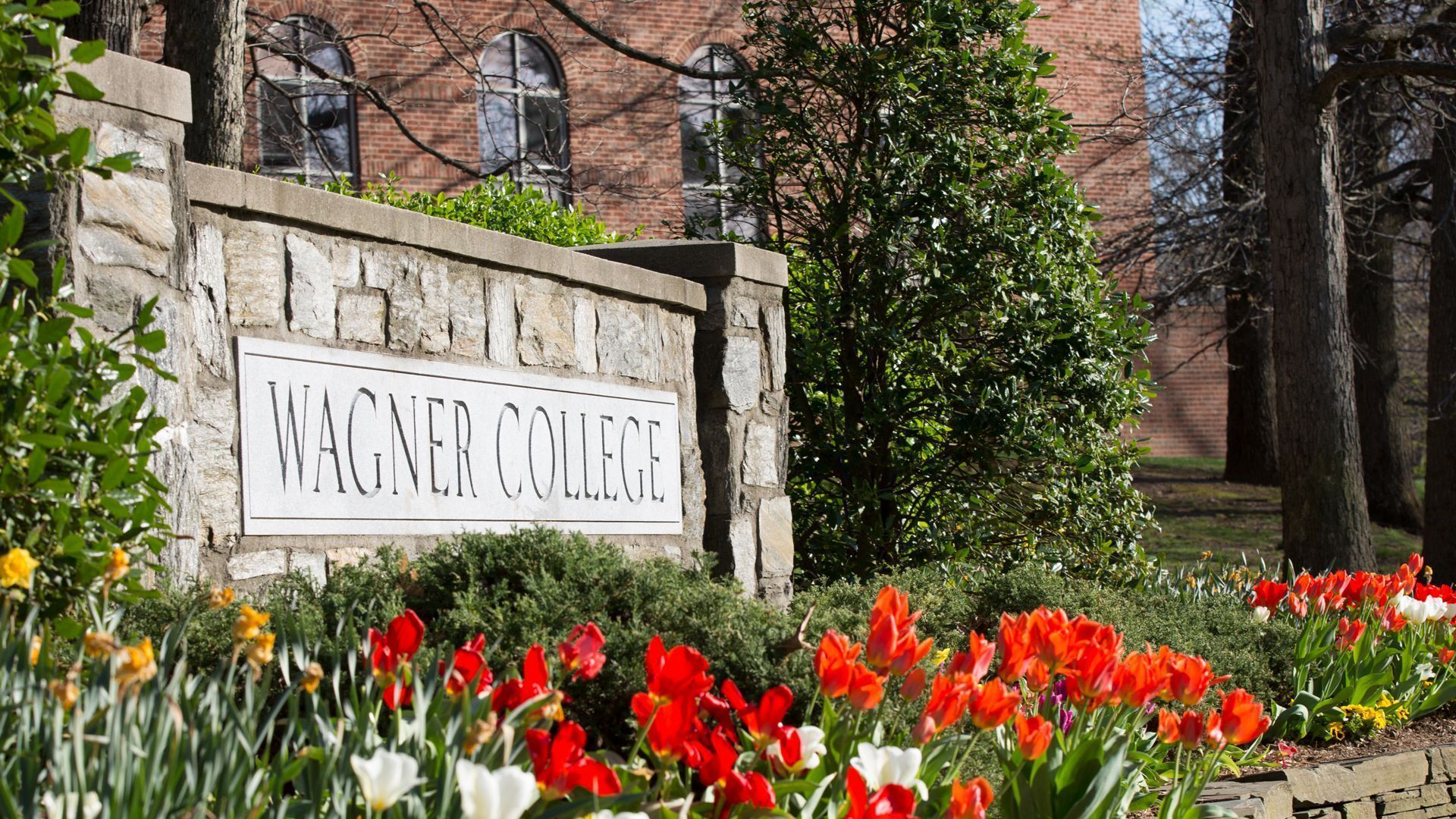 New York College Wallpapers - Top Free New York College Backgrounds ...