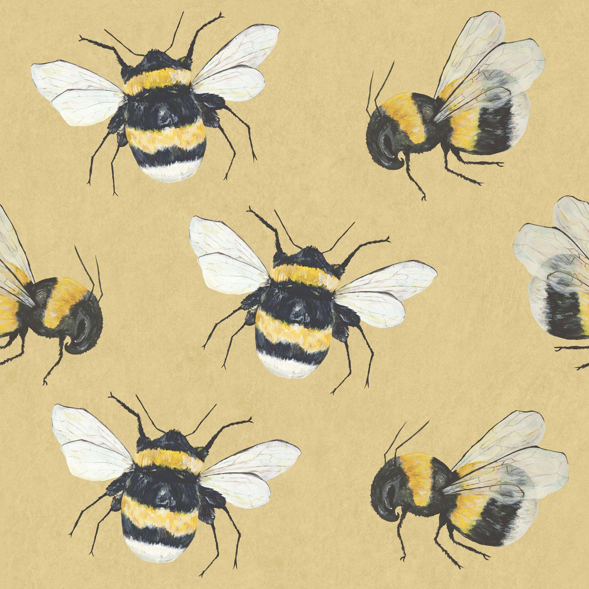 Bee Wallpapers - Top Free Bee Backgrounds - WallpaperAccess