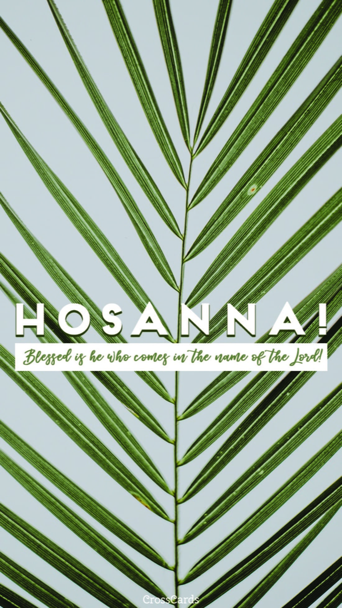 Hosanna Wallpapers - Top Free Hosanna Backgrounds - WallpaperAccess