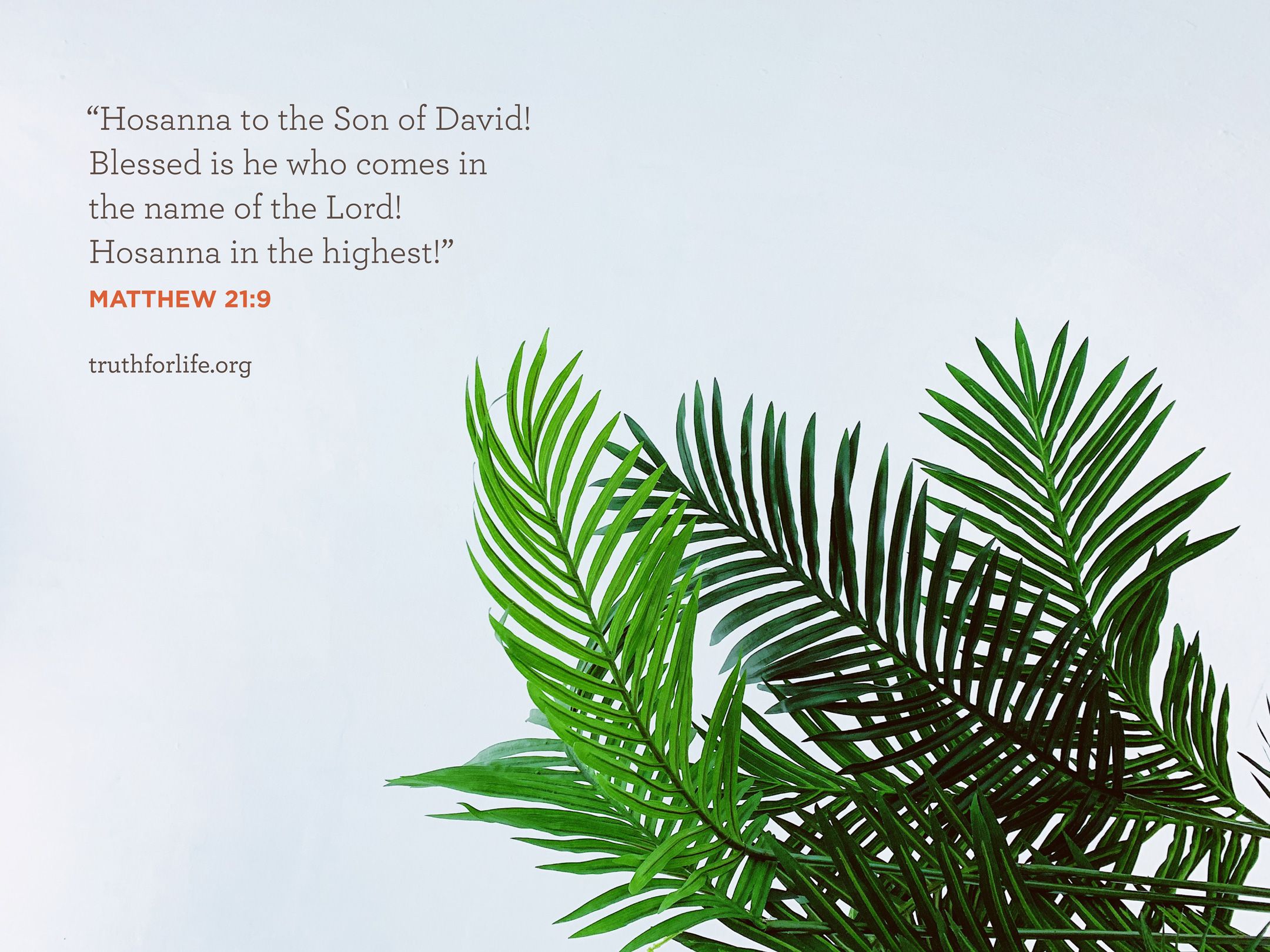 Hosanna Wallpapers - Top Free Hosanna Backgrounds - WallpaperAccess