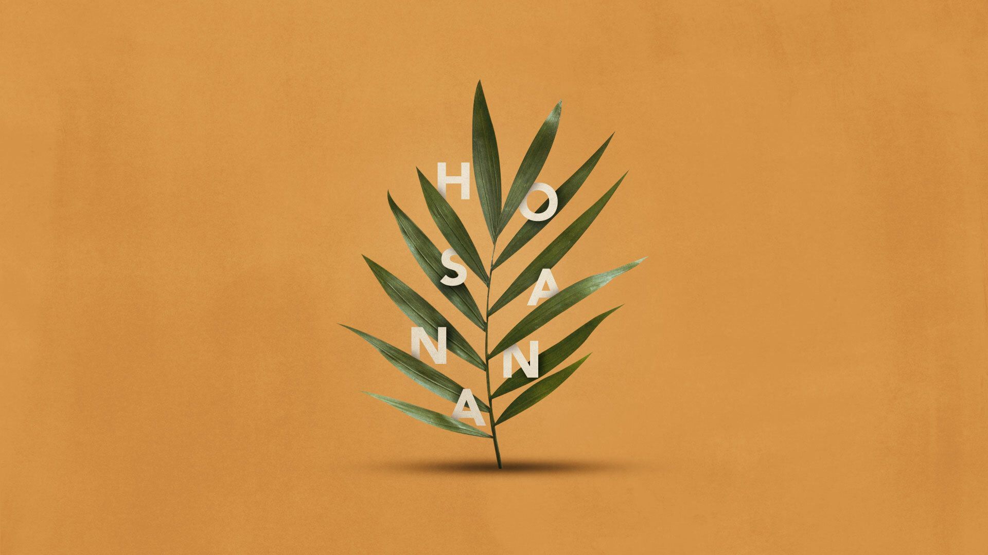 Hosanna Wallpapers - Top Free Hosanna Backgrounds - WallpaperAccess