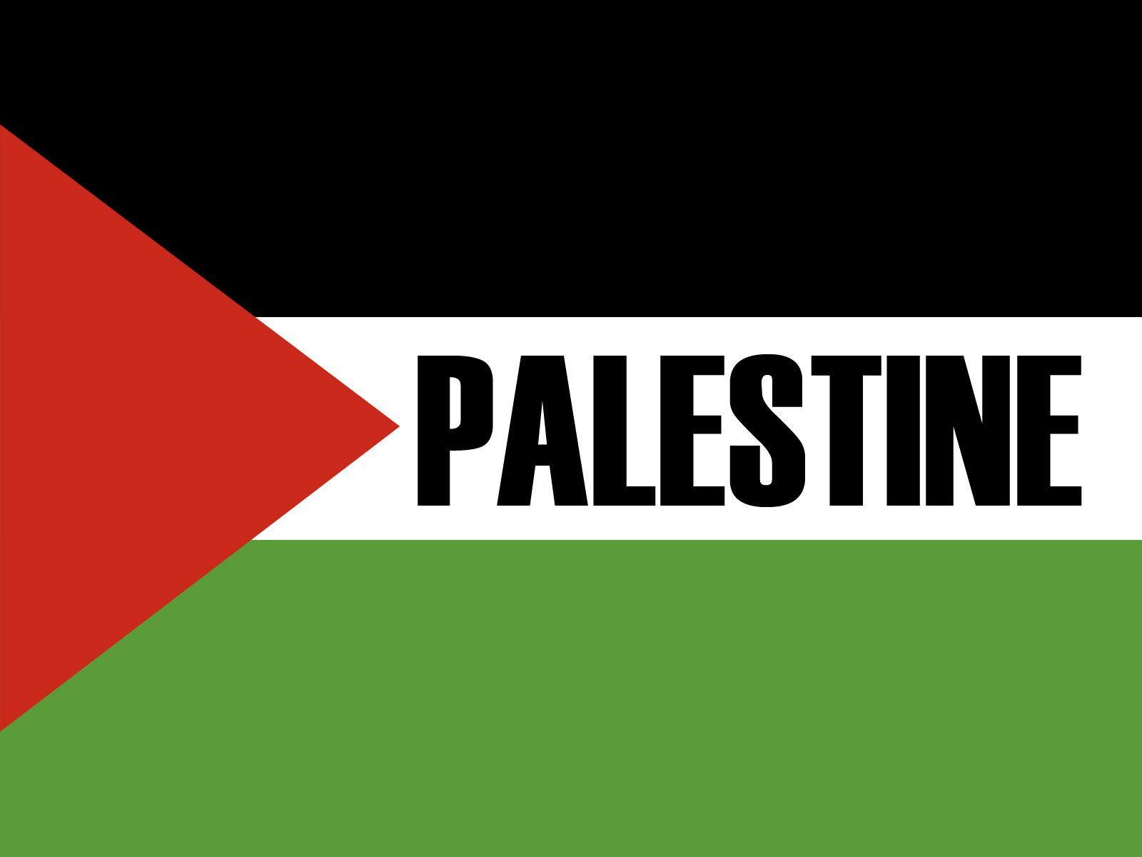 Palestine Flag Wallpapers - Top Free Palestine Flag Backgrounds ...