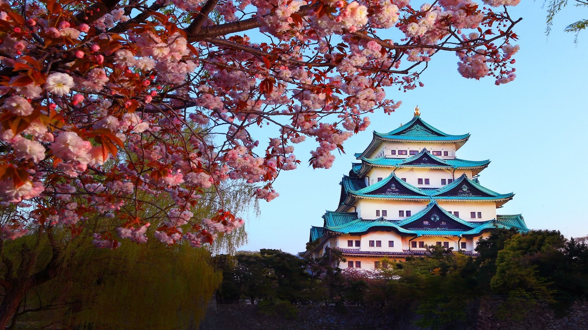 Nagoya Japan Wallpapers - Top Free Nagoya Japan Backgrounds ...