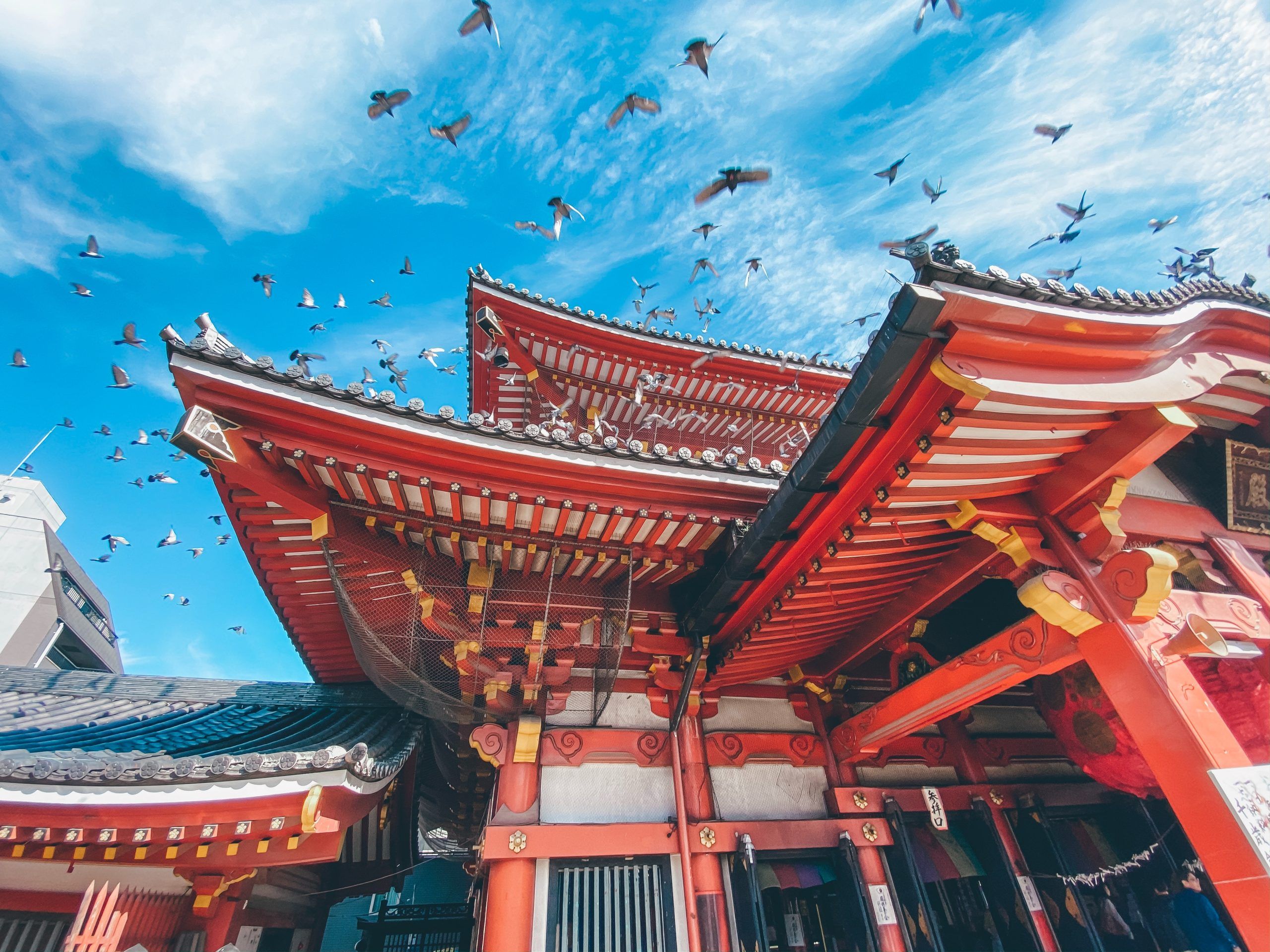 Nagoya Japan Wallpapers - Top Free Nagoya Japan Backgrounds ...