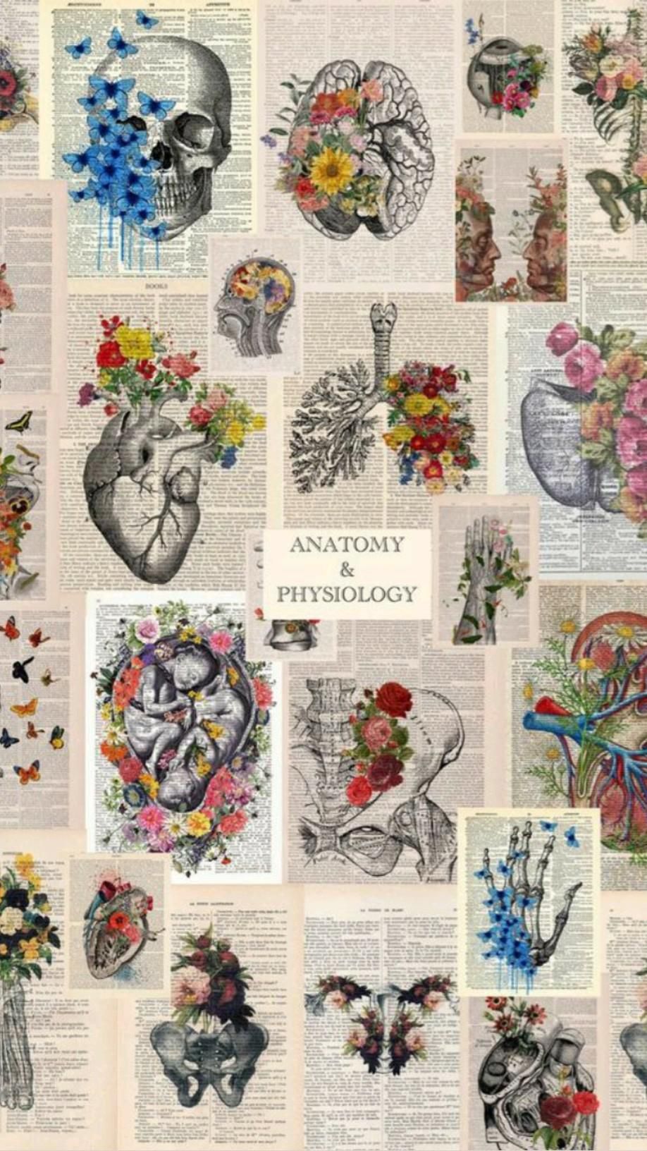 Aesthetic Anatomy Wallpapers - Top Free Aesthetic Anatomy Backgrounds ...