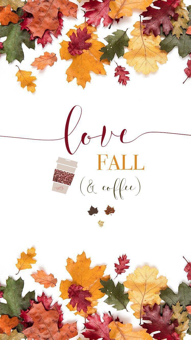 Coffee Hello Fall Wallpapers - Top Free Coffee Hello Fall Backgrounds ...