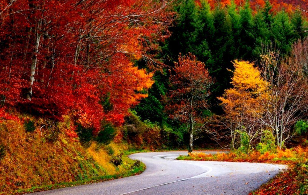 Autumn Street Wallpapers - Top Free Autumn Street Backgrounds ...