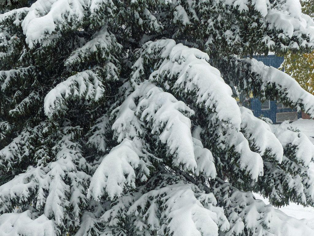 Hello Winter Wallpapers - Top Free Hello Winter Backgrounds ...