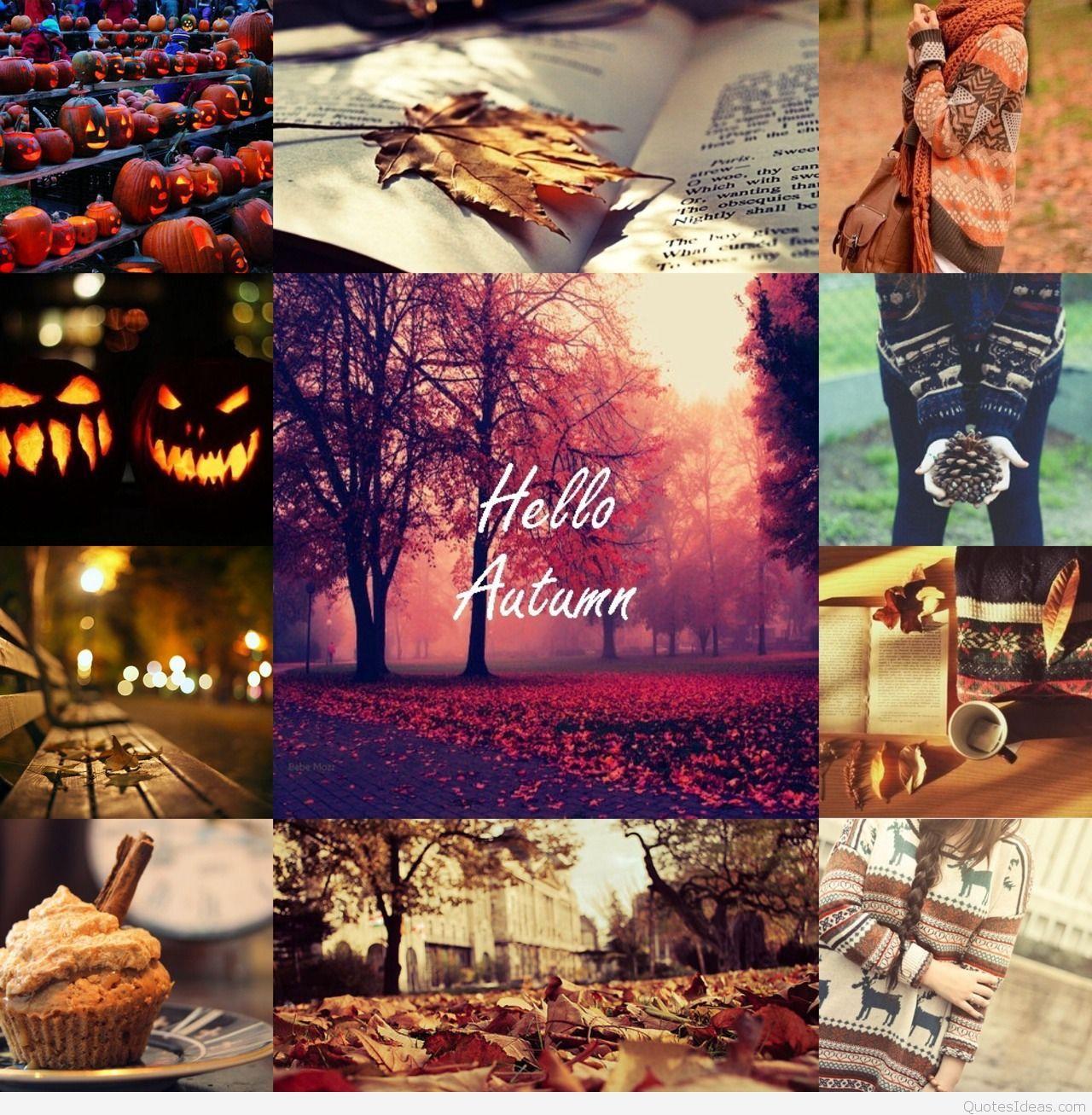 Hello Autumn iPhone Wallpapers - Top Free Hello Autumn iPhone ...