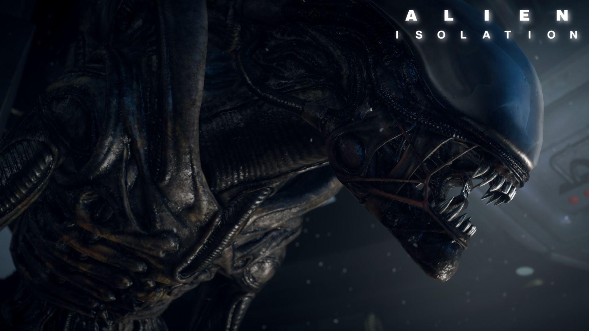 Xenomorph Wallpapers - Top Free Xenomorph Backgrounds - WallpaperAccess