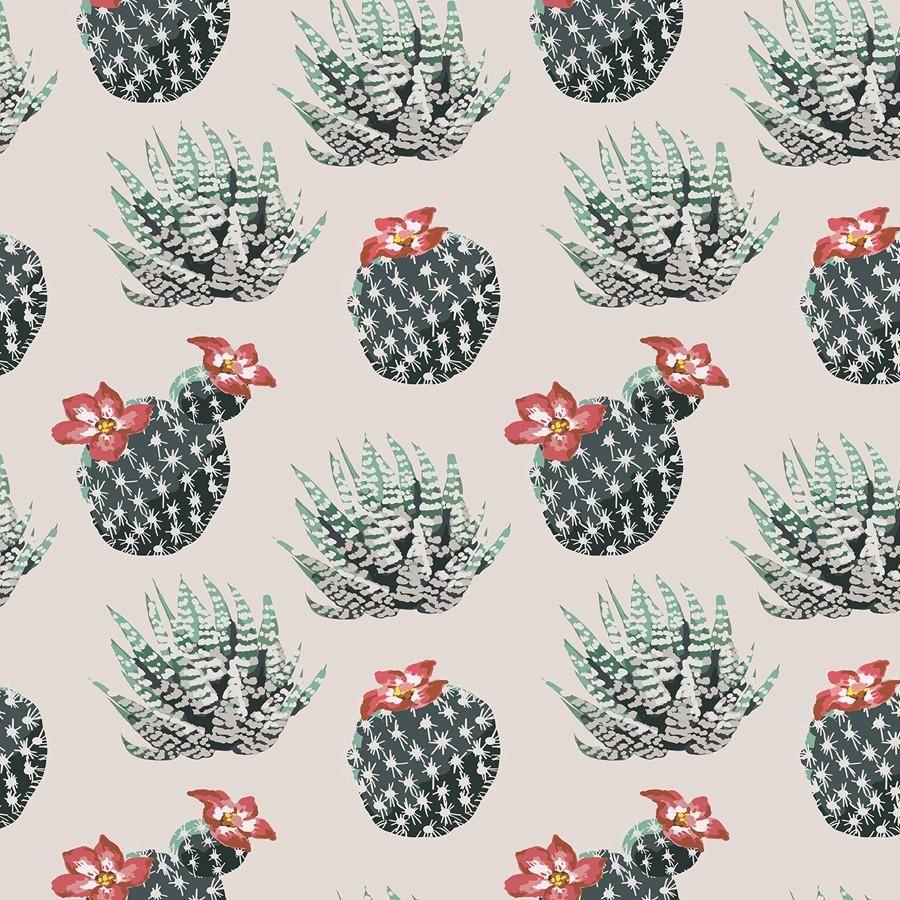 Cactus Pattern Wallpapers - Top Free Cactus Pattern Backgrounds ...