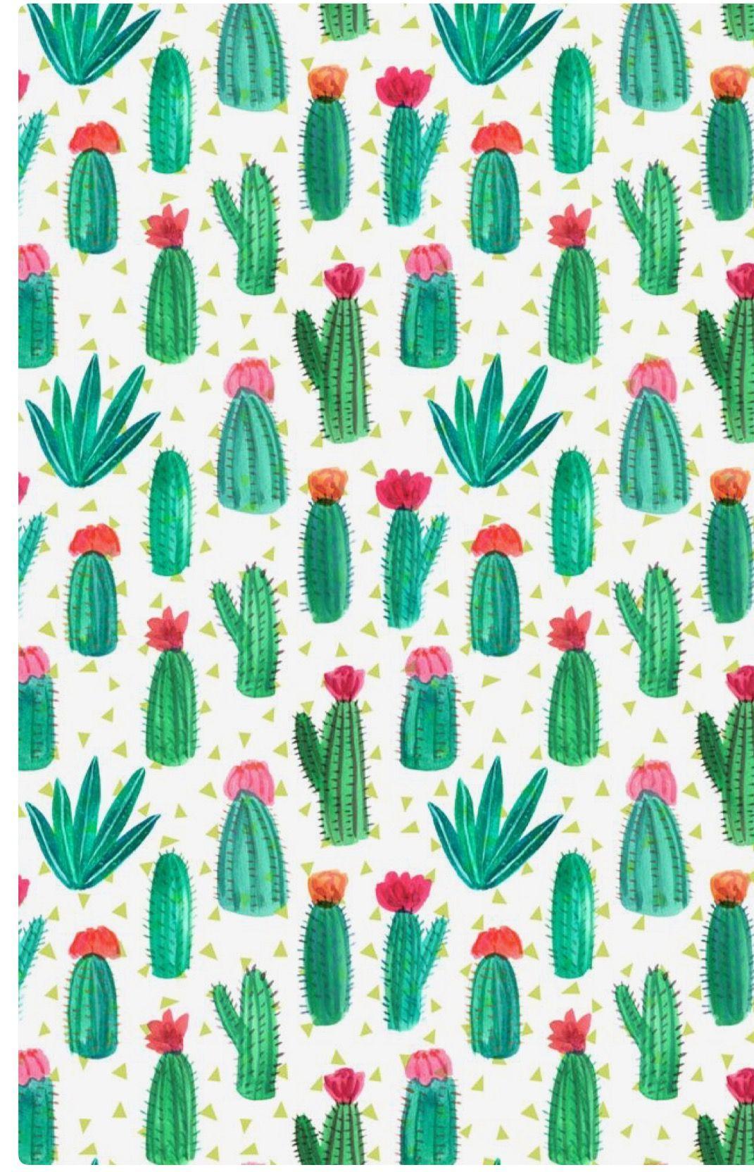 Cactus Pattern Wallpapers - Top Free Cactus Pattern Backgrounds ...