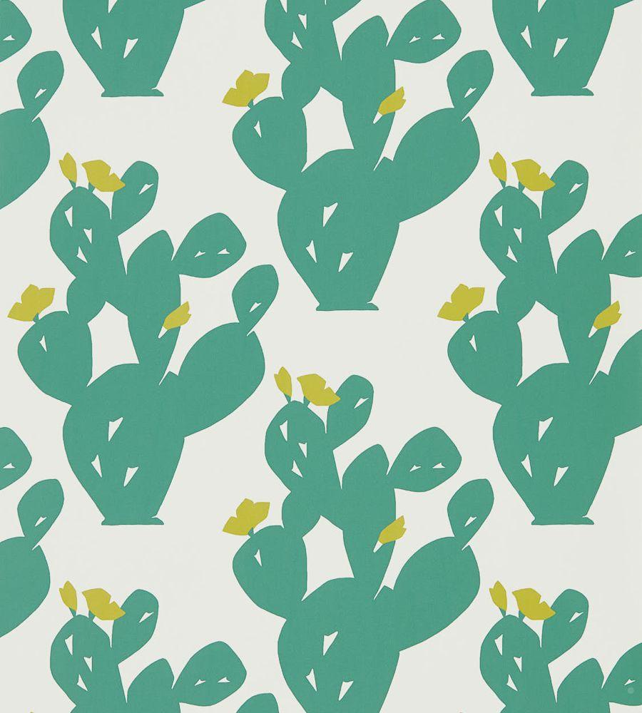 Cactus Pattern Wallpapers - Top Free Cactus Pattern Backgrounds ...