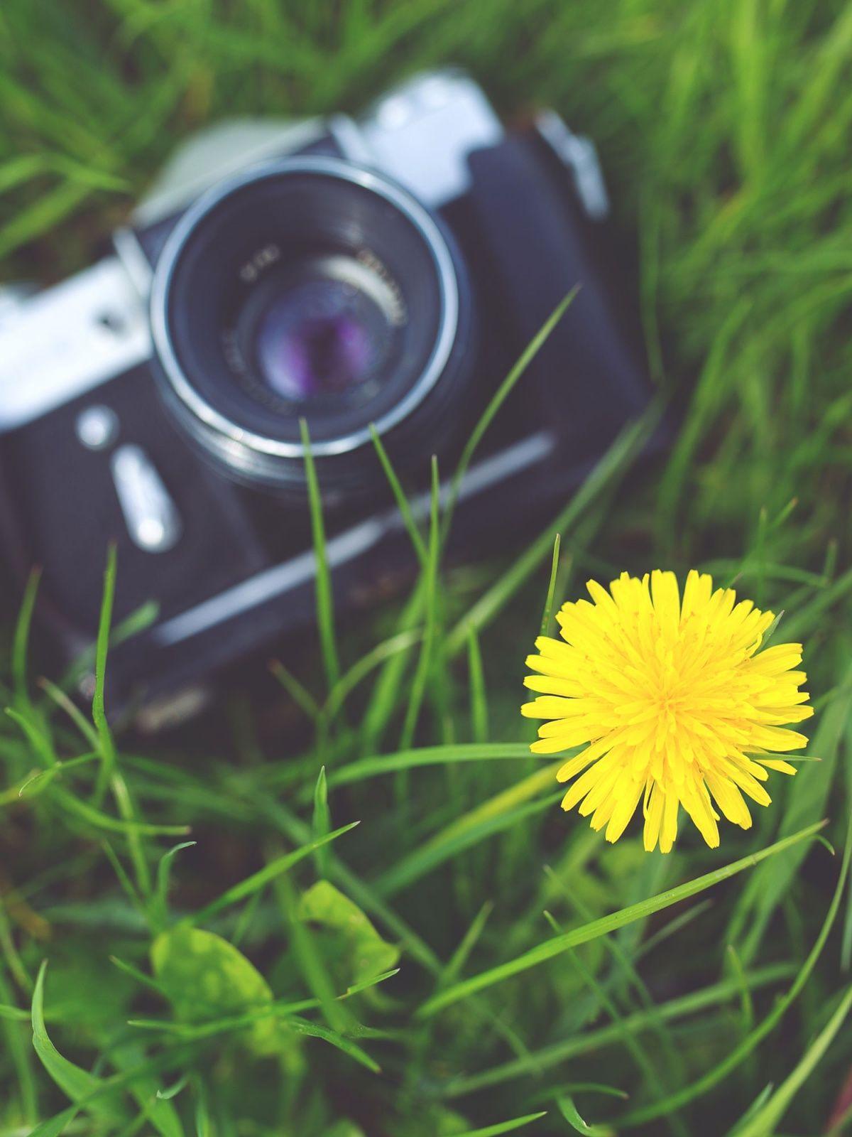 Photographer Wallpapers - Top Free Photographer Backgrounds ...