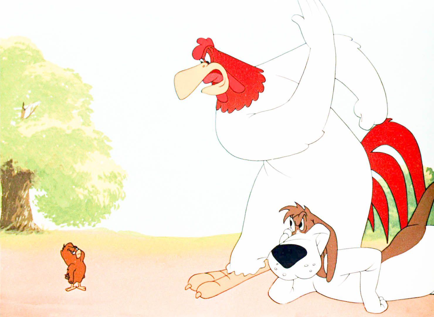 Foghorn Wallpapers - Top Free Foghorn Backgrounds - WallpaperAccess