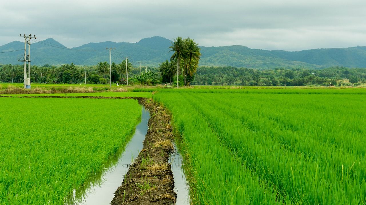 Pedesaan Wallpapers - Top Free Pedesaan Backgrounds - WallpaperAccess