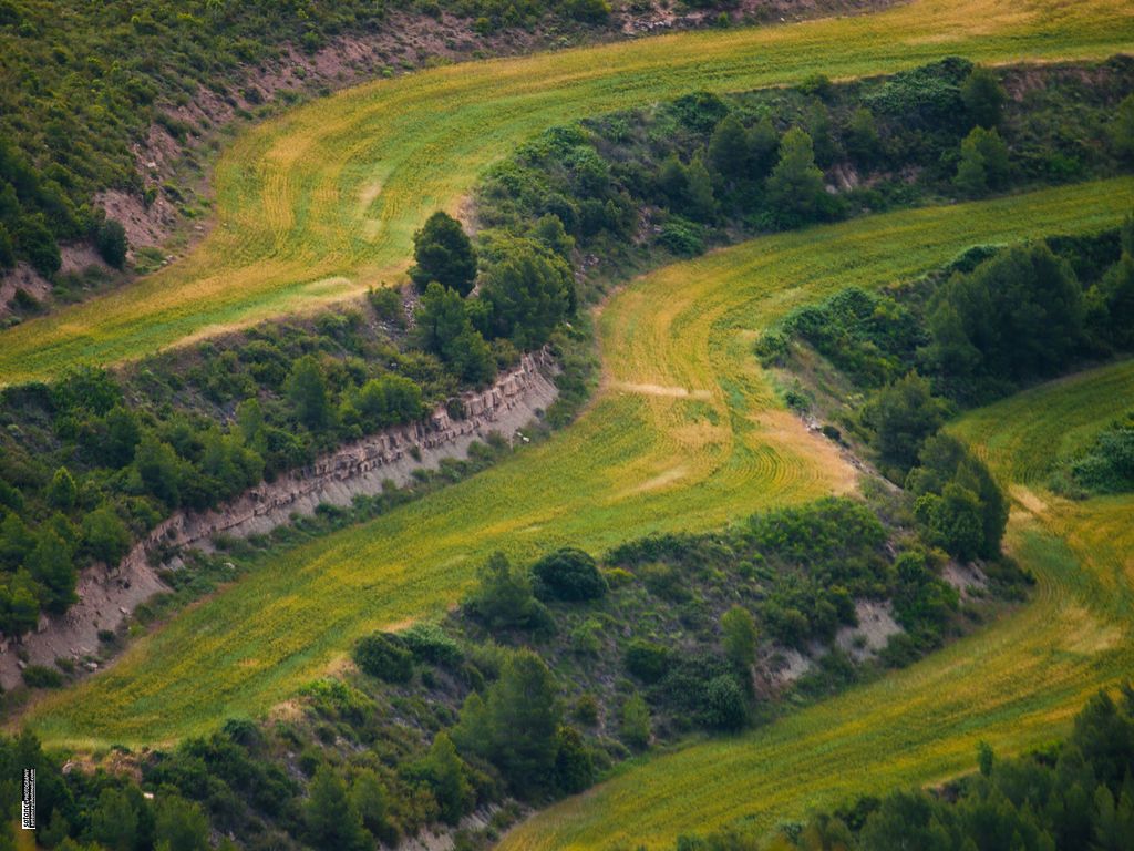 Calaf Wallpapers - Top Free Calaf Backgrounds - WallpaperAccess