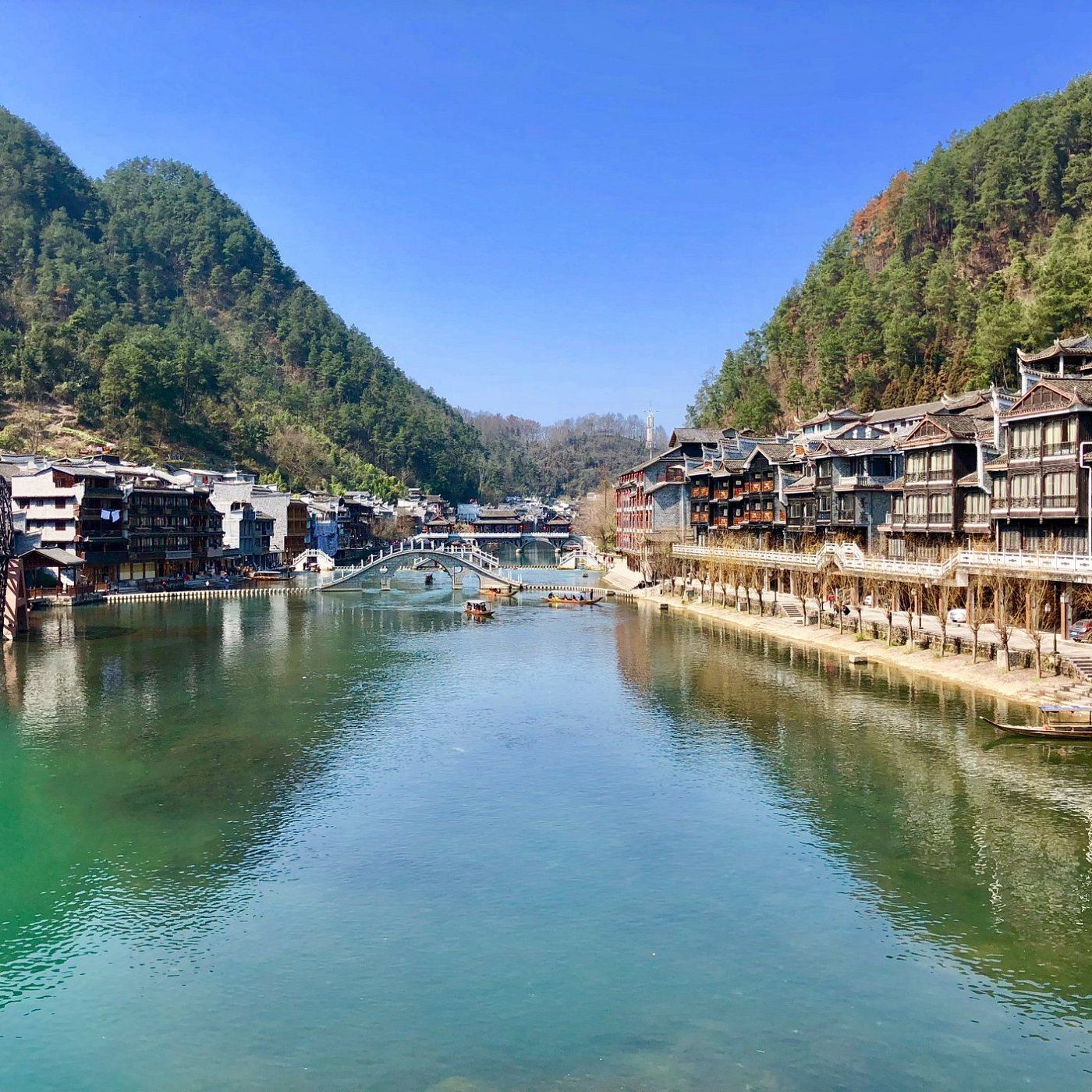 Fenghuang Wallpapers - Top Free Fenghuang Backgrounds - WallpaperAccess