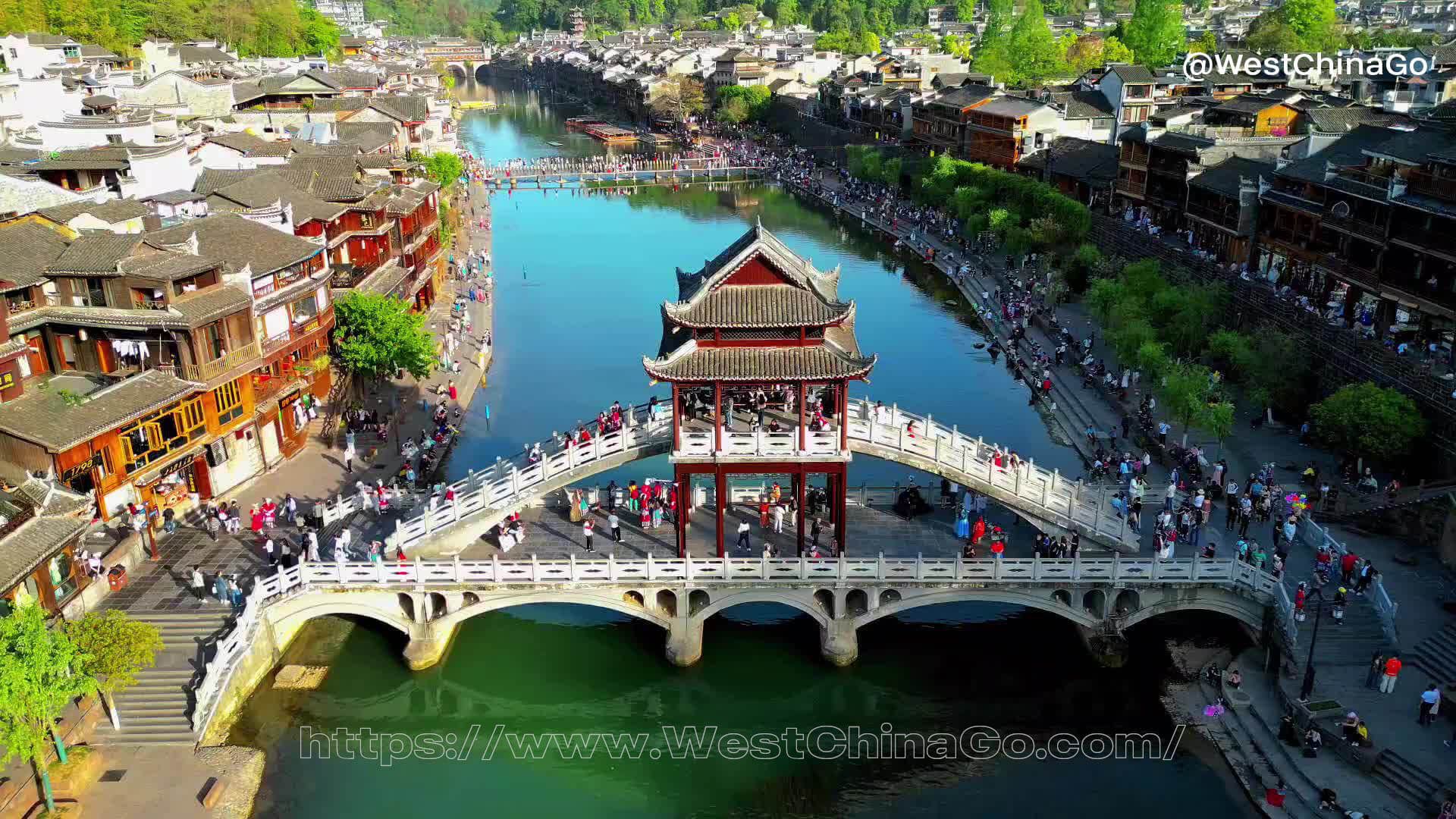 Fenghuang Wallpapers - Top Free Fenghuang Backgrounds - WallpaperAccess