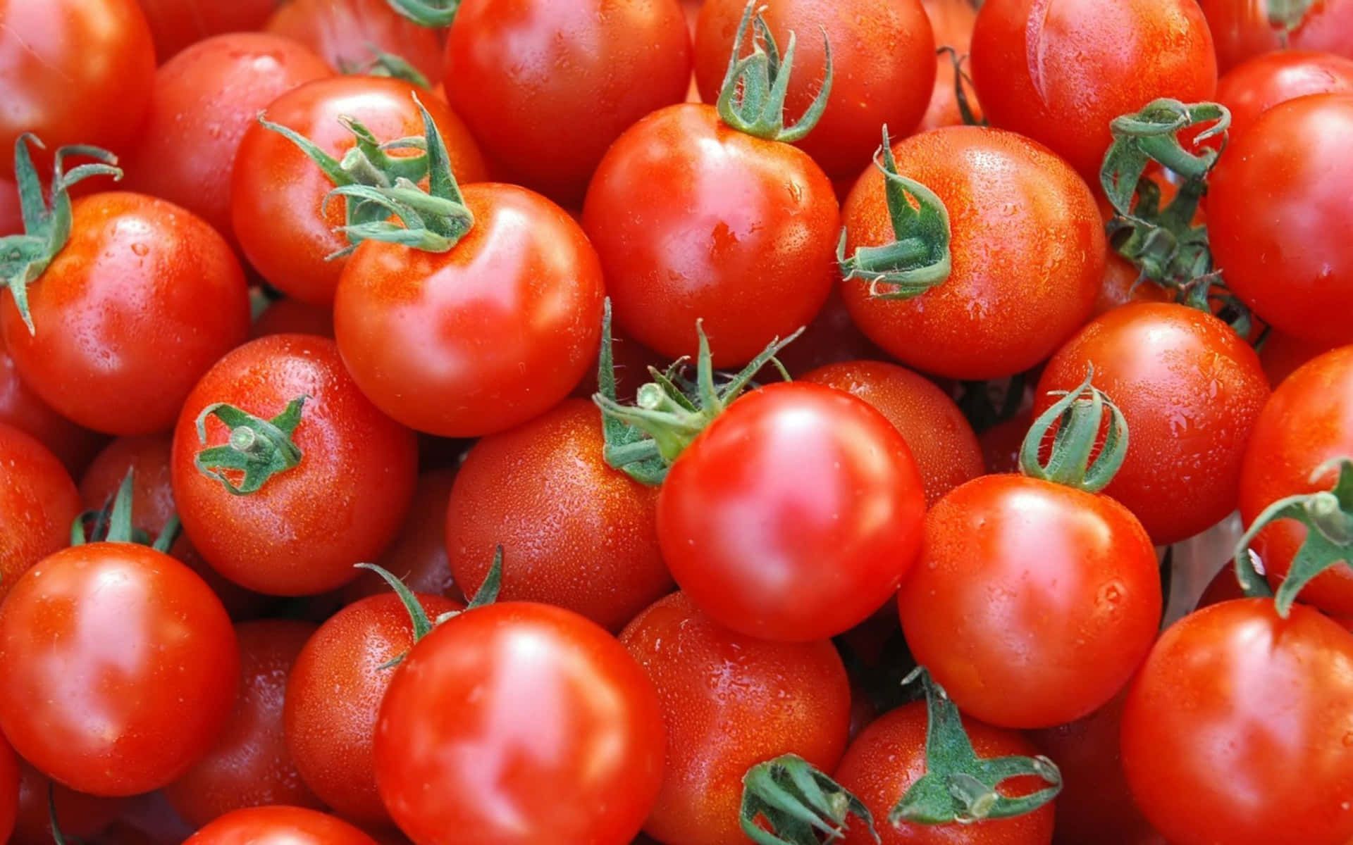 Pomodoro Wallpapers - Top Free Pomodoro Backgrounds - WallpaperAccess