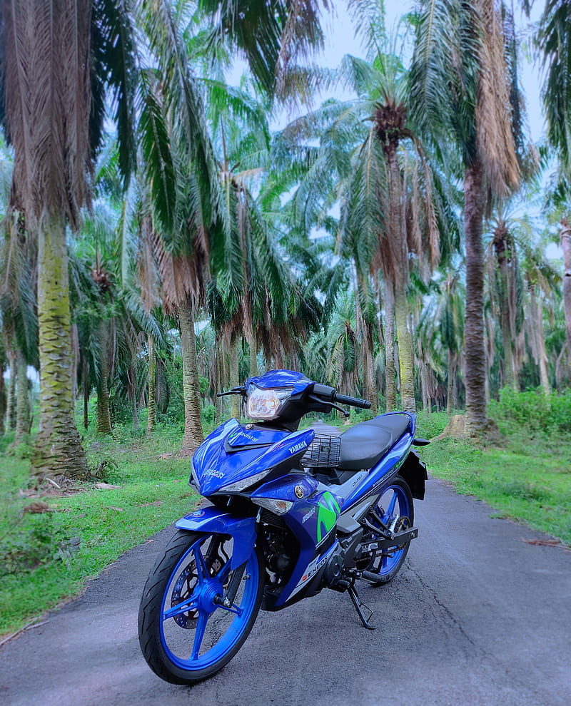 Yamaha Y15Zr Wallpapers - Top Free Yamaha Y15Zr Backgrounds ...