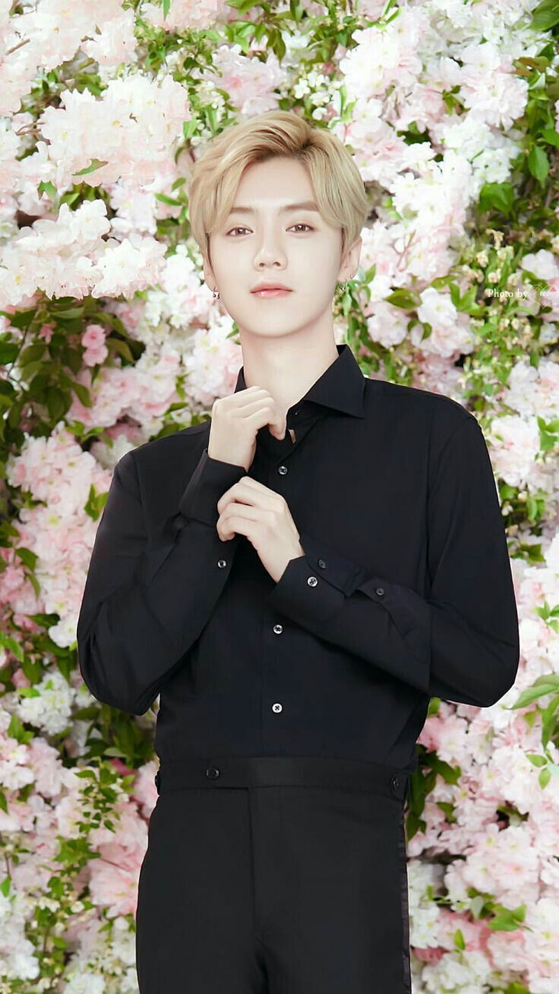 Sweet Combat Wallpapers - Top Free Sweet Combat Backgrounds ...