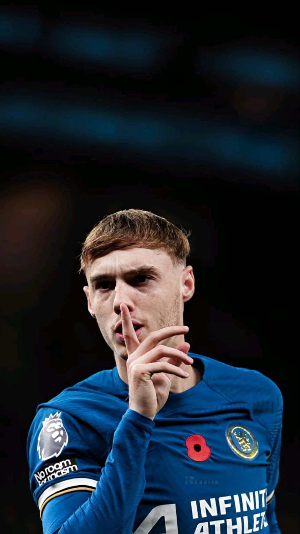 Cold Palmer Wallpapers - Top Free Cold Palmer Backgrounds - WallpaperAccess