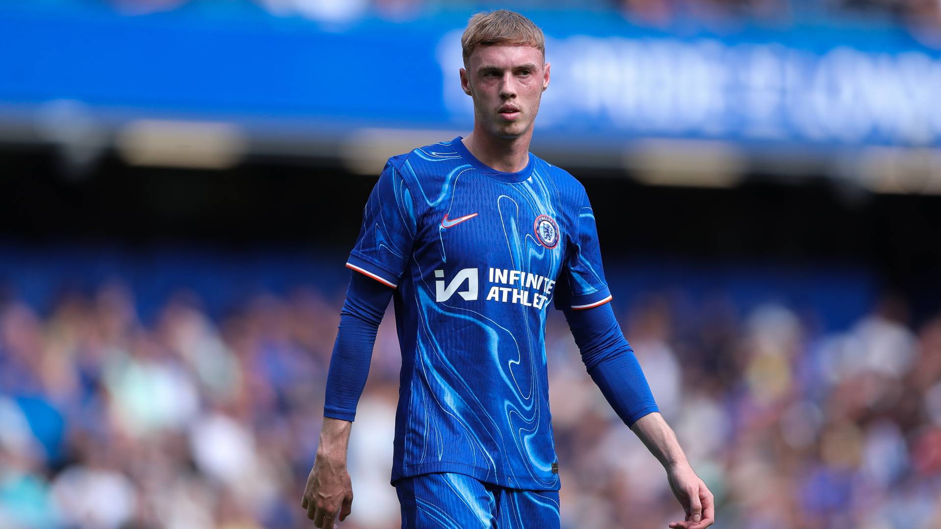 Cold Palmer Wallpapers - Top Free Cold Palmer Backgrounds - WallpaperAccess