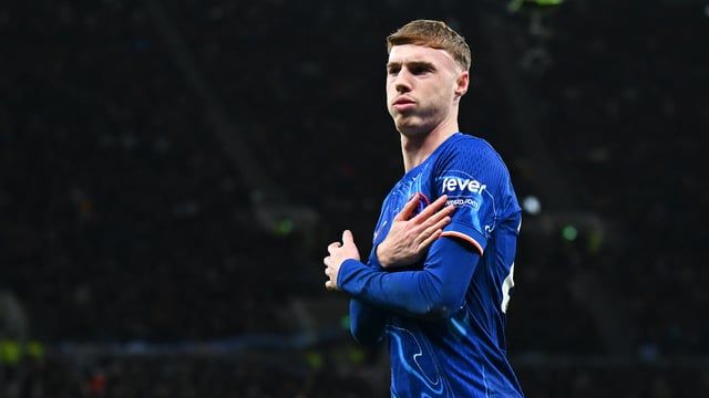 Cold Palmer Wallpapers - Top Free Cold Palmer Backgrounds - WallpaperAccess