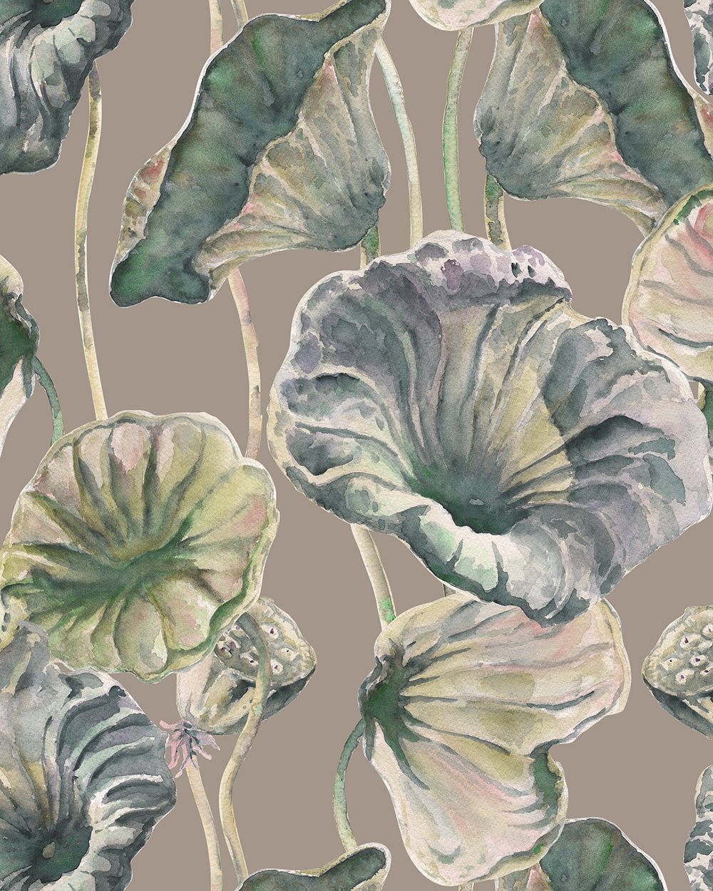 Lotus Leaf Wallpapers - Top Free Lotus Leaf Backgrounds - WallpaperAccess