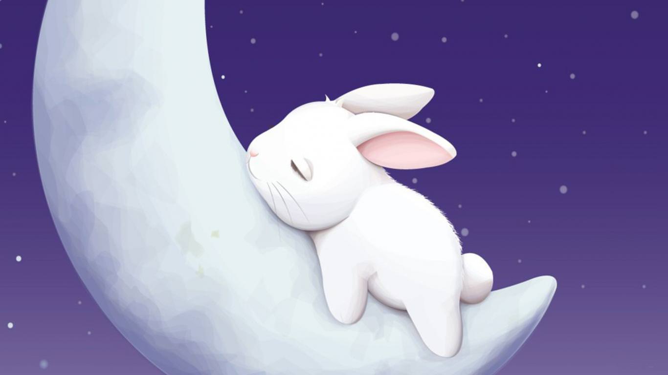 Cute Rabbit Wallpapers - Top Free Cute Rabbit Backgrounds - WallpaperAccess