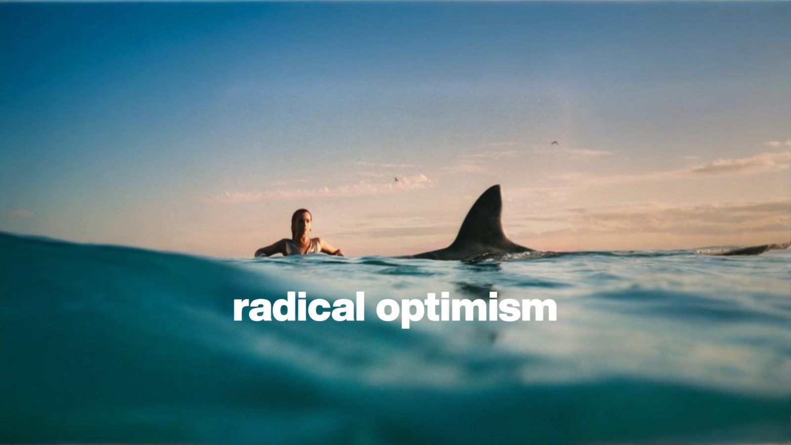 Radical Optimism Wallpapers - Top Free Radical Optimism Backgrounds ...
