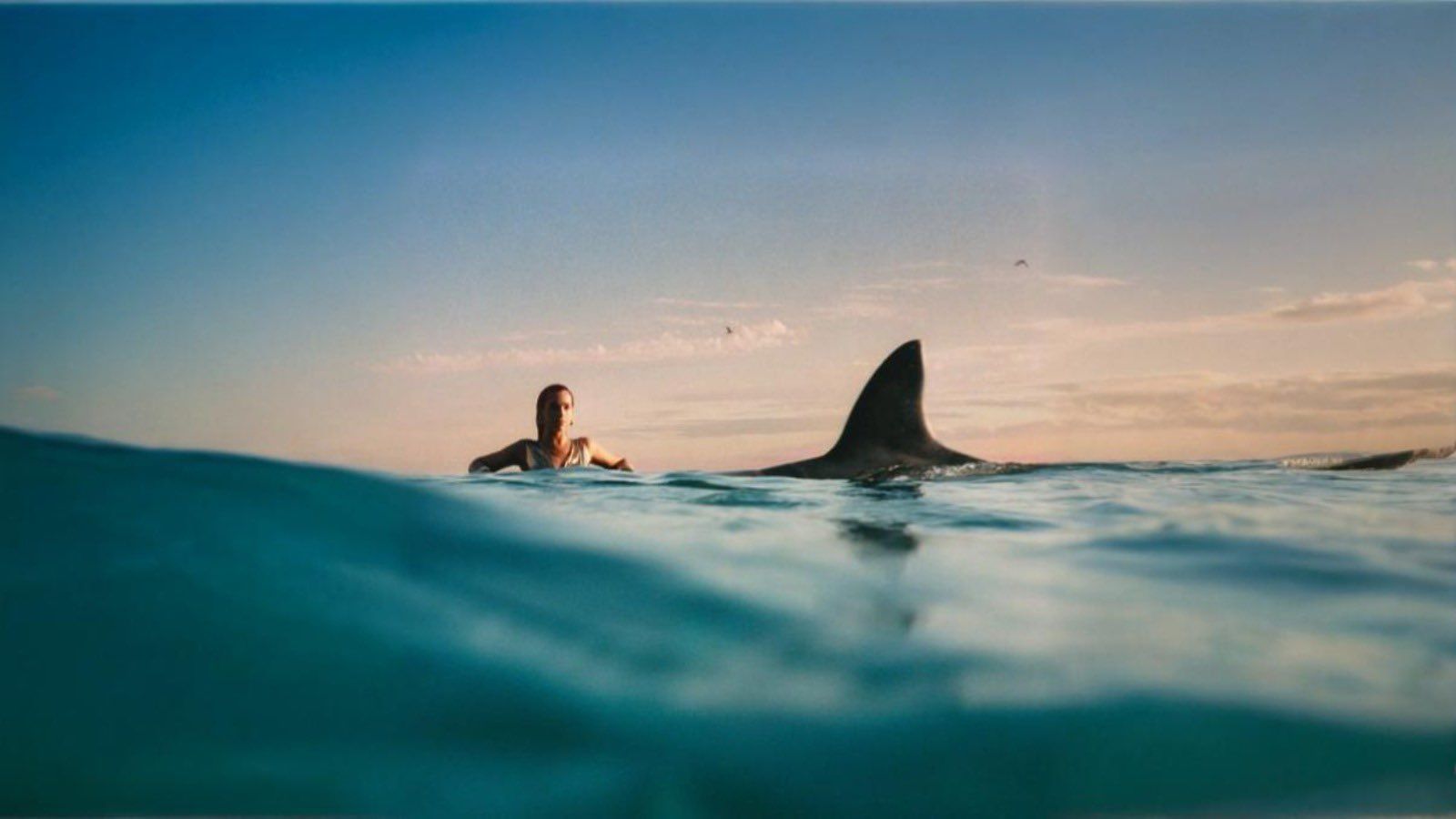 Radical Optimism Wallpapers - Top Free Radical Optimism Backgrounds ...