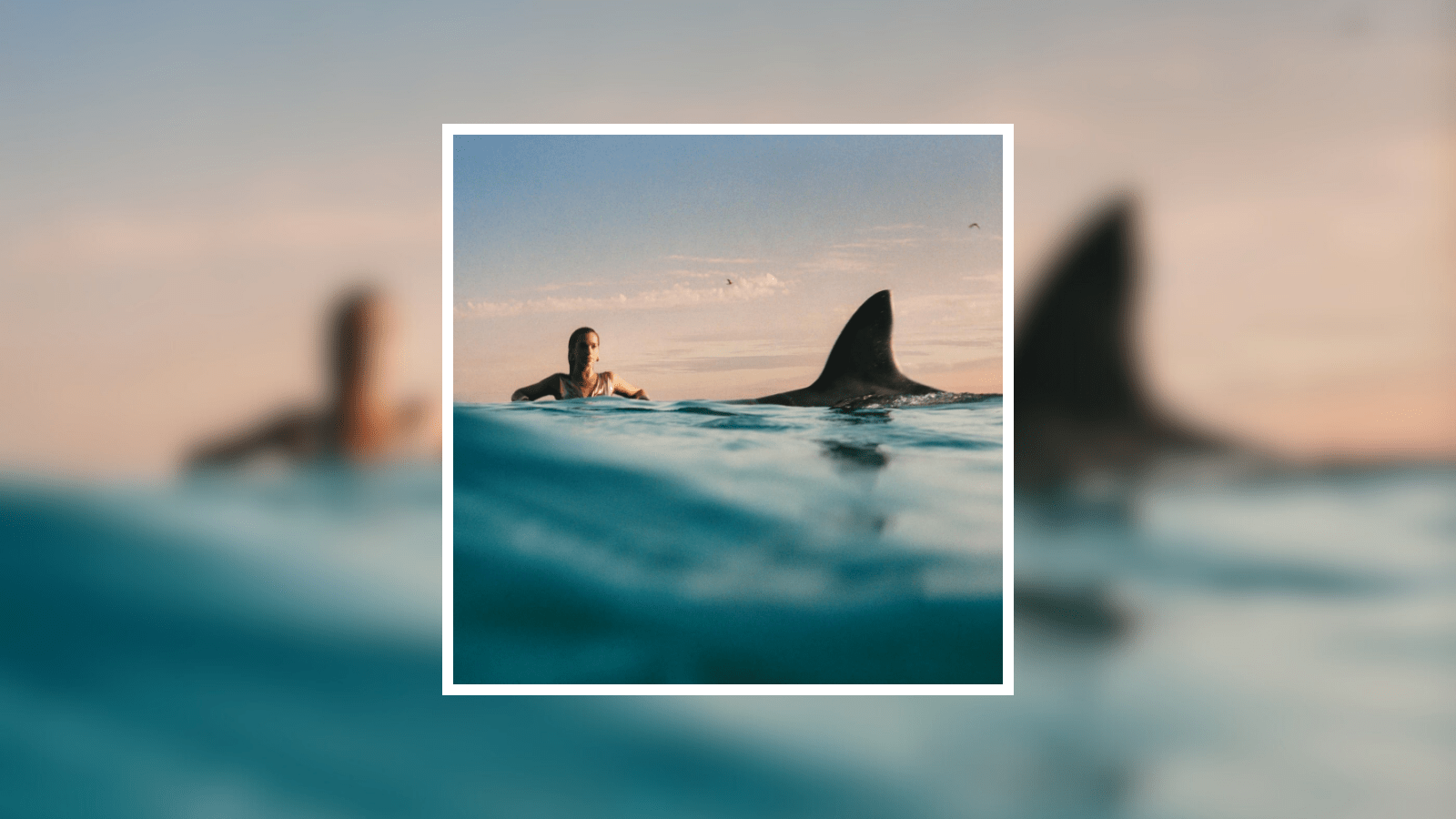 Radical Optimism Wallpapers - Top Free Radical Optimism Backgrounds ...