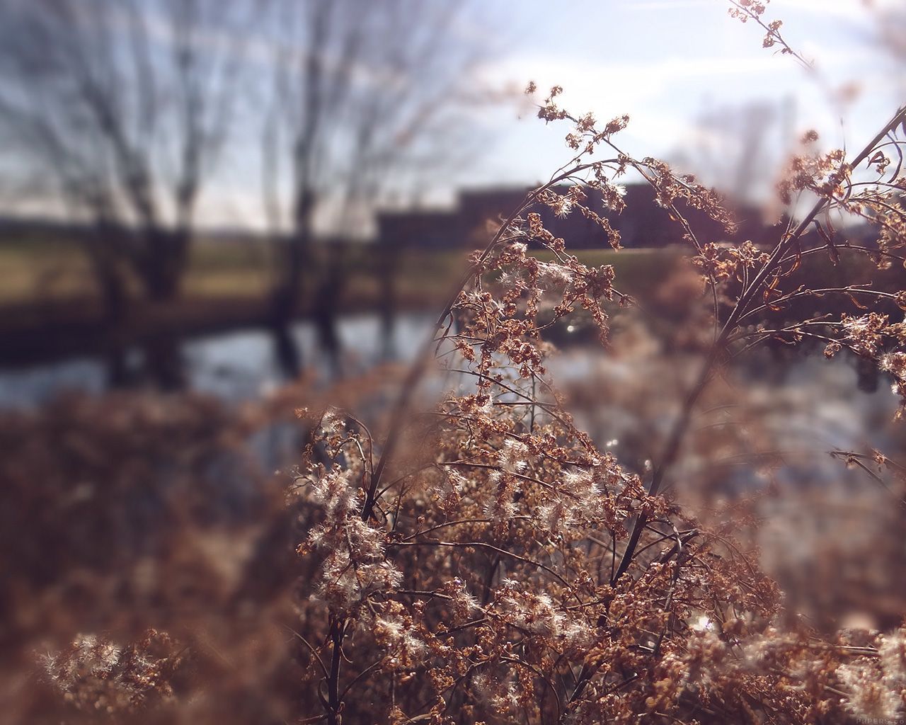 Sad Scenery Wallpapers - Top Free Sad Scenery Backgrounds - WallpaperAccess