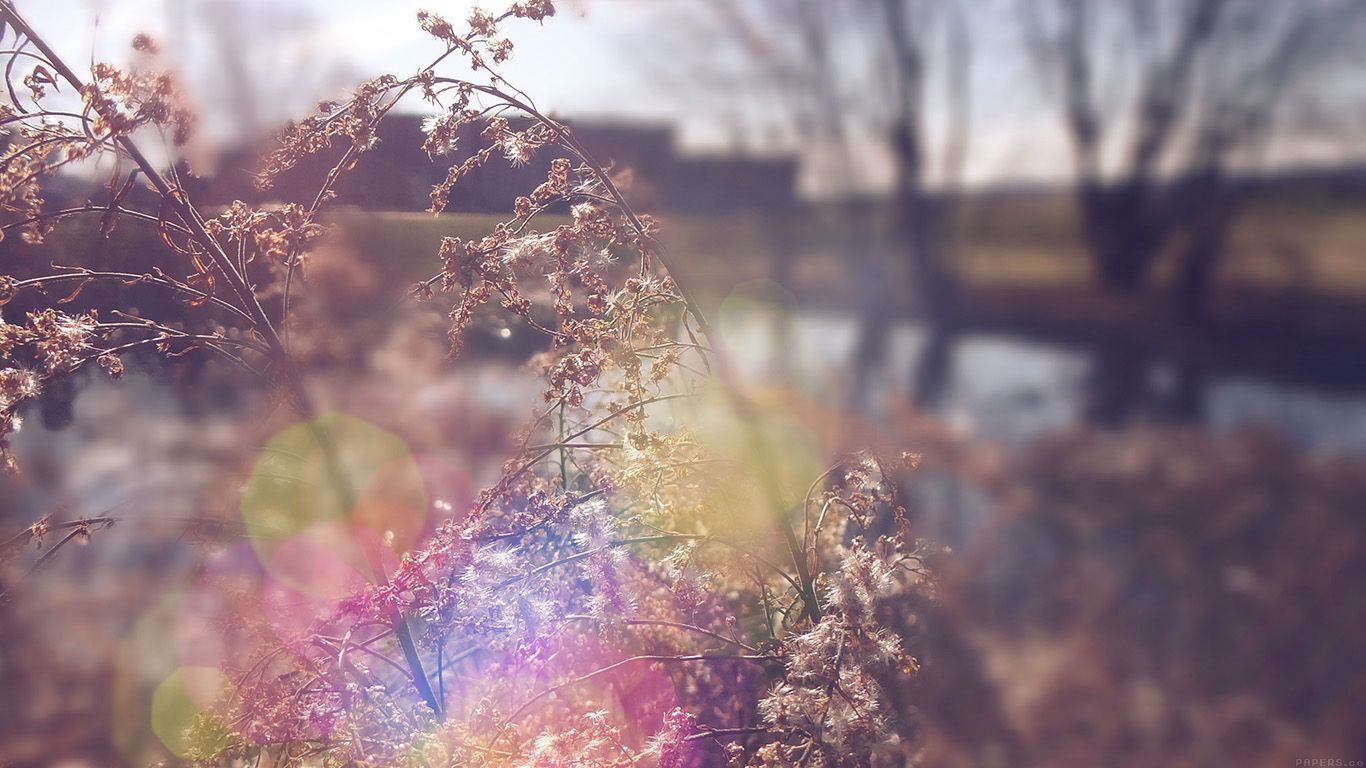 Sad Scenery Wallpapers - Top Free Sad Scenery Backgrounds - WallpaperAccess