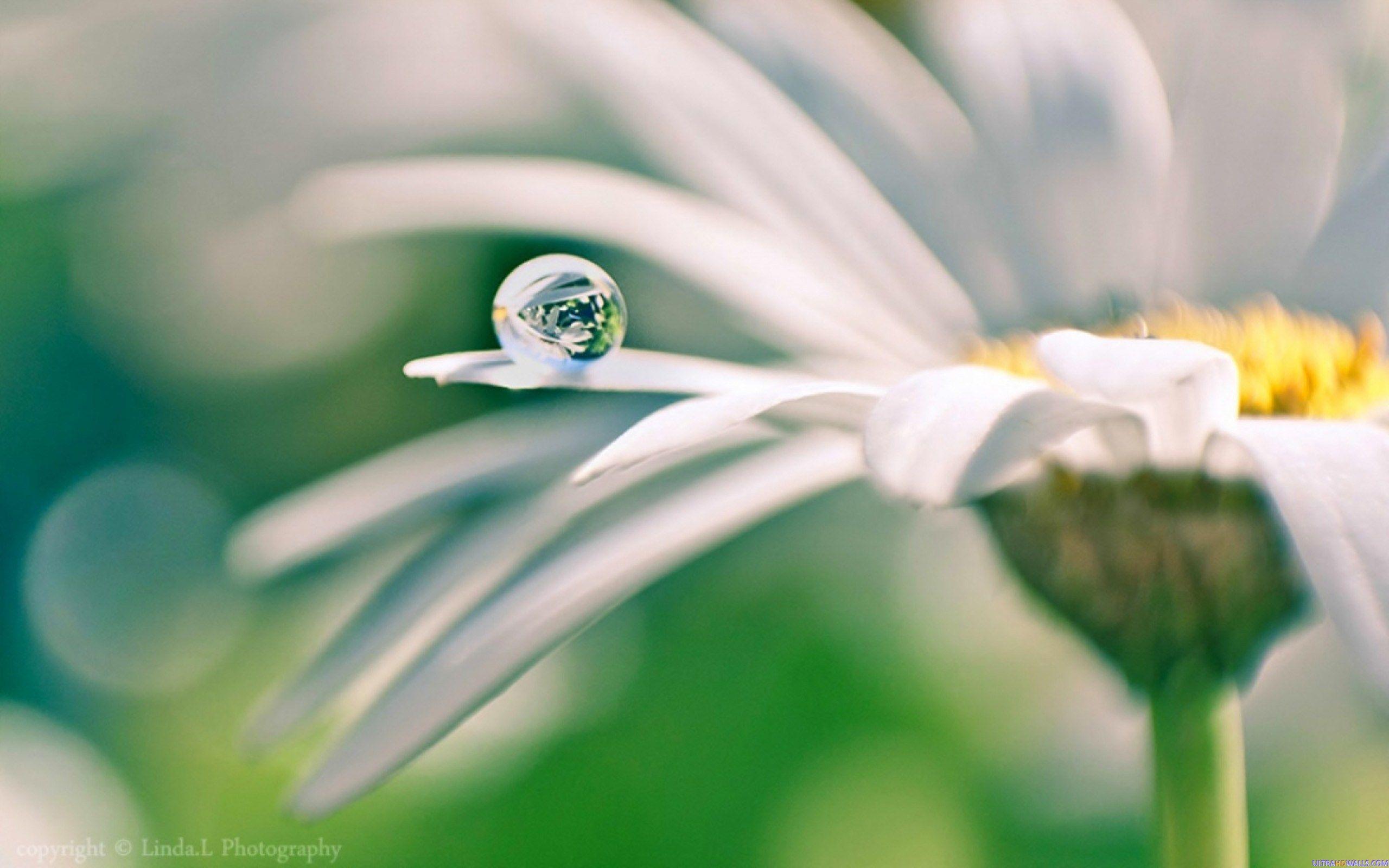 Stay Positive Wallpapers - Top Free Stay Positive Backgrounds ...