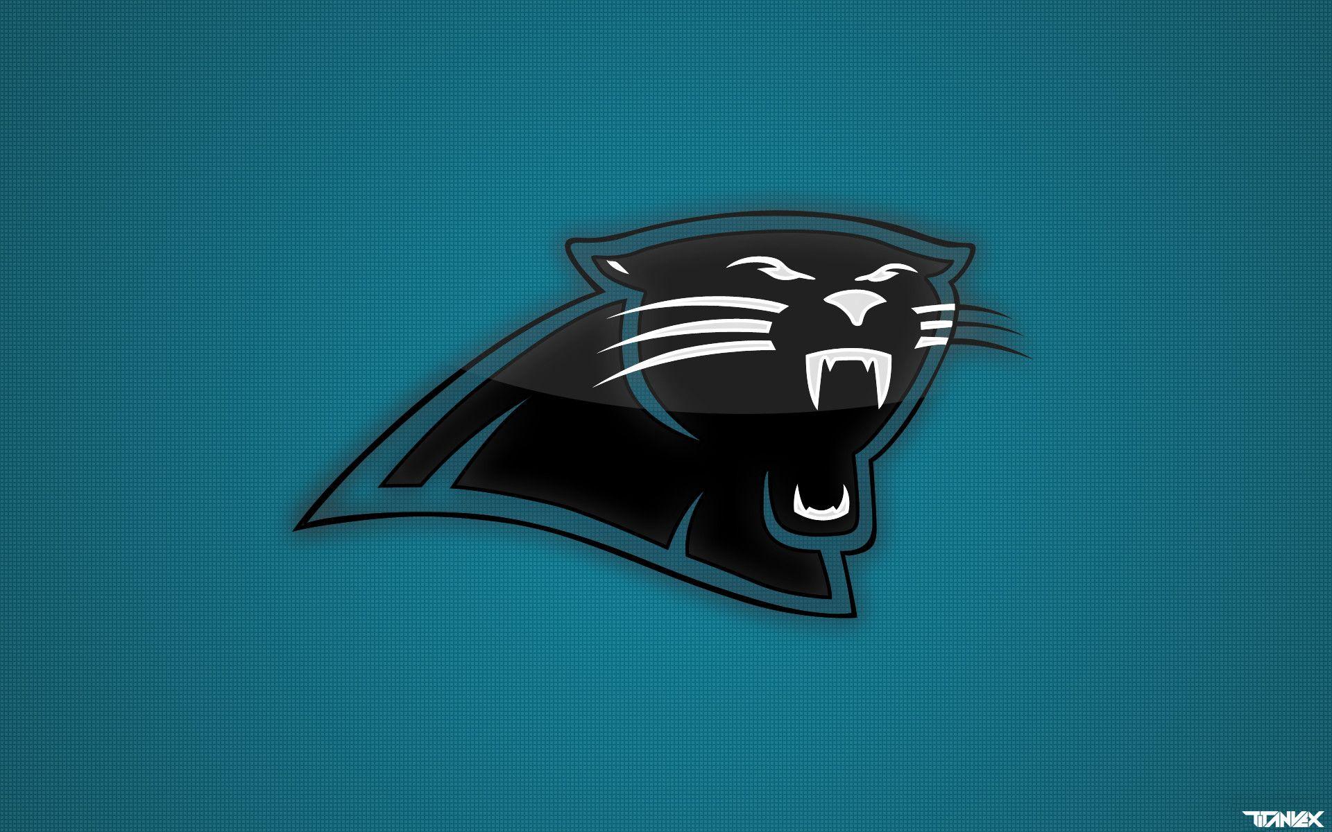 Hình Nền Carolina Panthers Top Những Hình Ảnh Đẹp