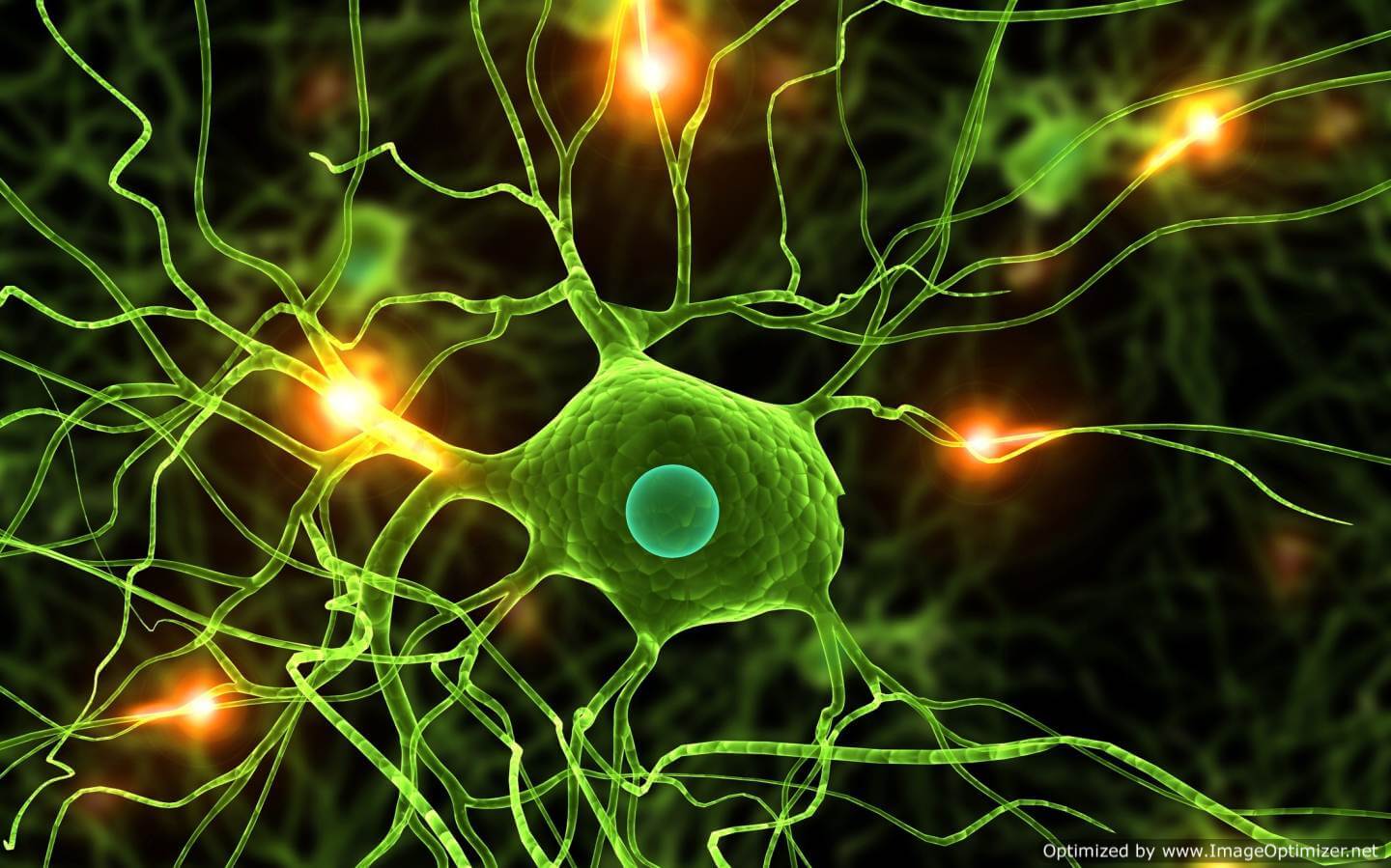 Neurons Wallpapers - Top Free Neurons Backgrounds - WallpaperAccess